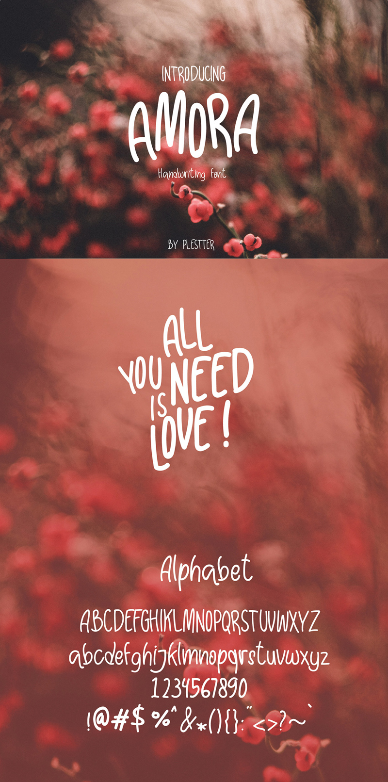 Amora | Handwriting Font Demo - Freebie Supply