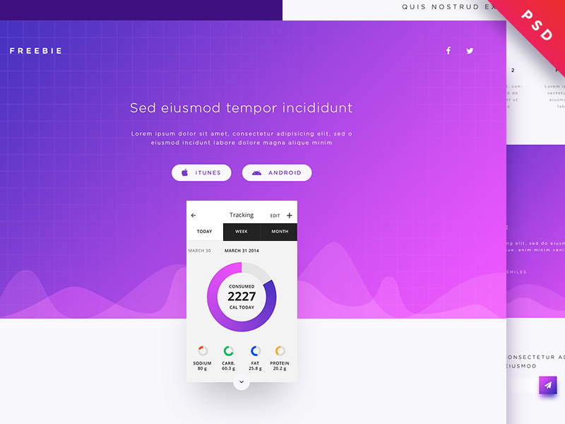 App Page Template PSD - Freebie Supply