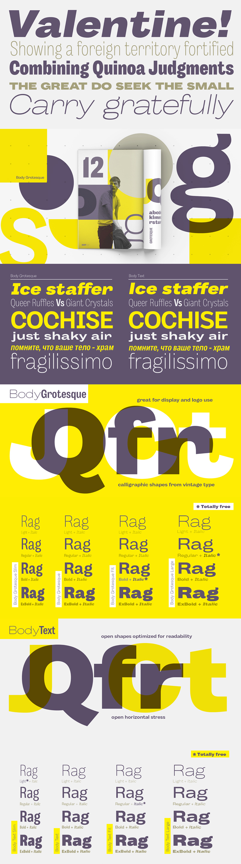 Body Typeface Superfamily - Freebie Supply