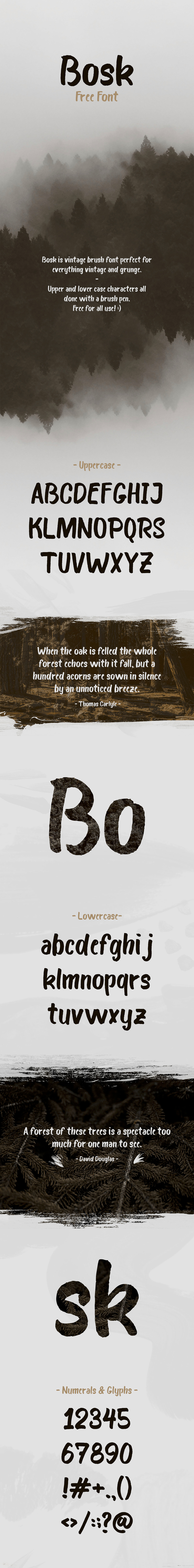 Bosk - Free Brush Font - Freebie Supply