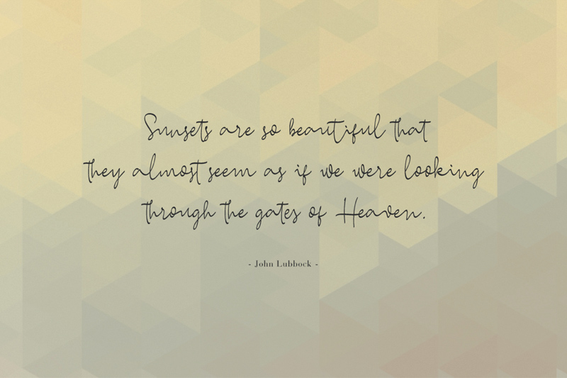 Conditional Font Script Typeface Freebie Supply