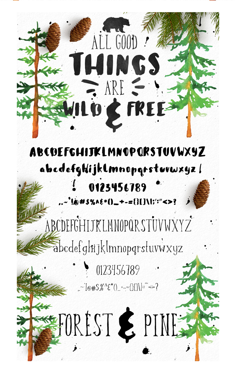 Forest & Pine Font - Hand Drawn Brush Typeface - Freebie Supply