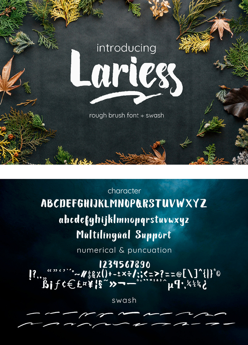 Larries Font - Freebie Supply