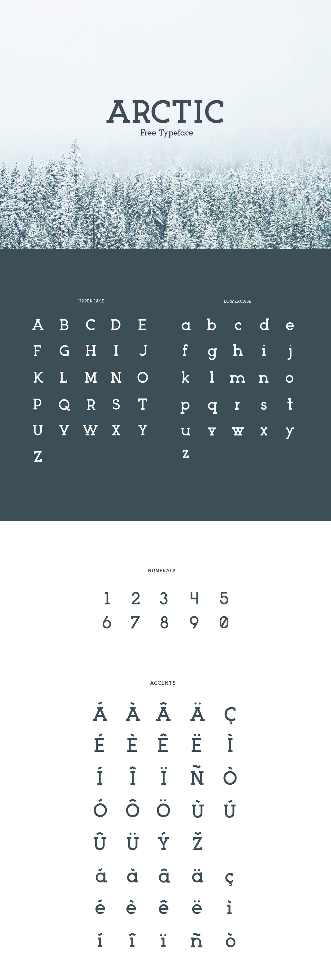 Arctic Free Slab Serif Typeface - Freebie Supply