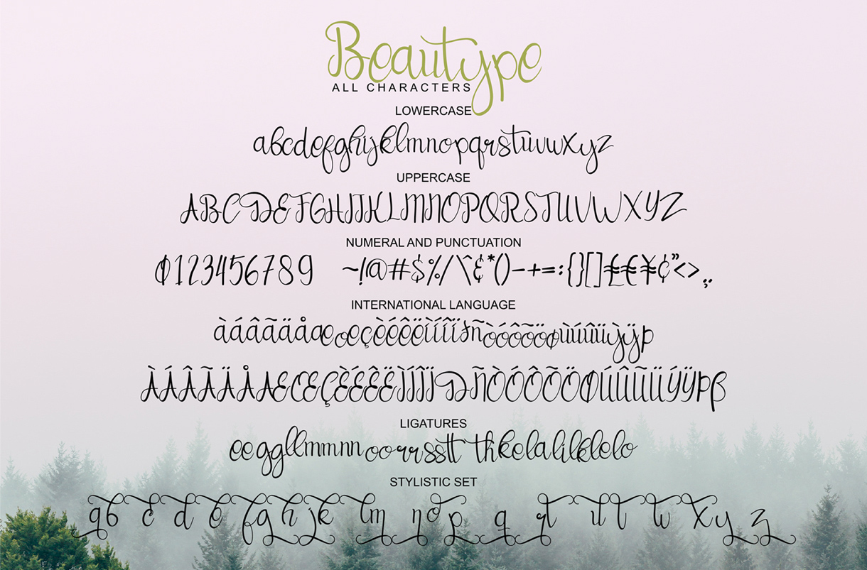 Beautype - Simple Script Font - Freebie Supply