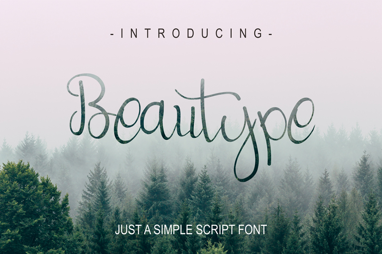 Beautype - Simple Script Font - Freebie Supply