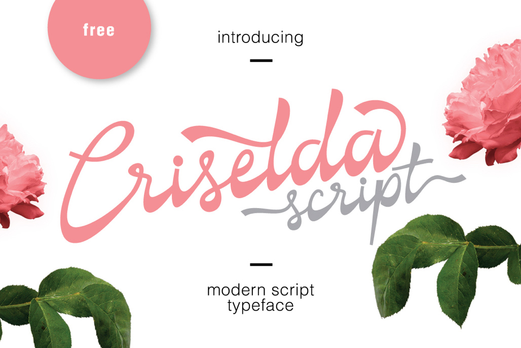Criselda Script Font - Free Typeface - Freebie Supply