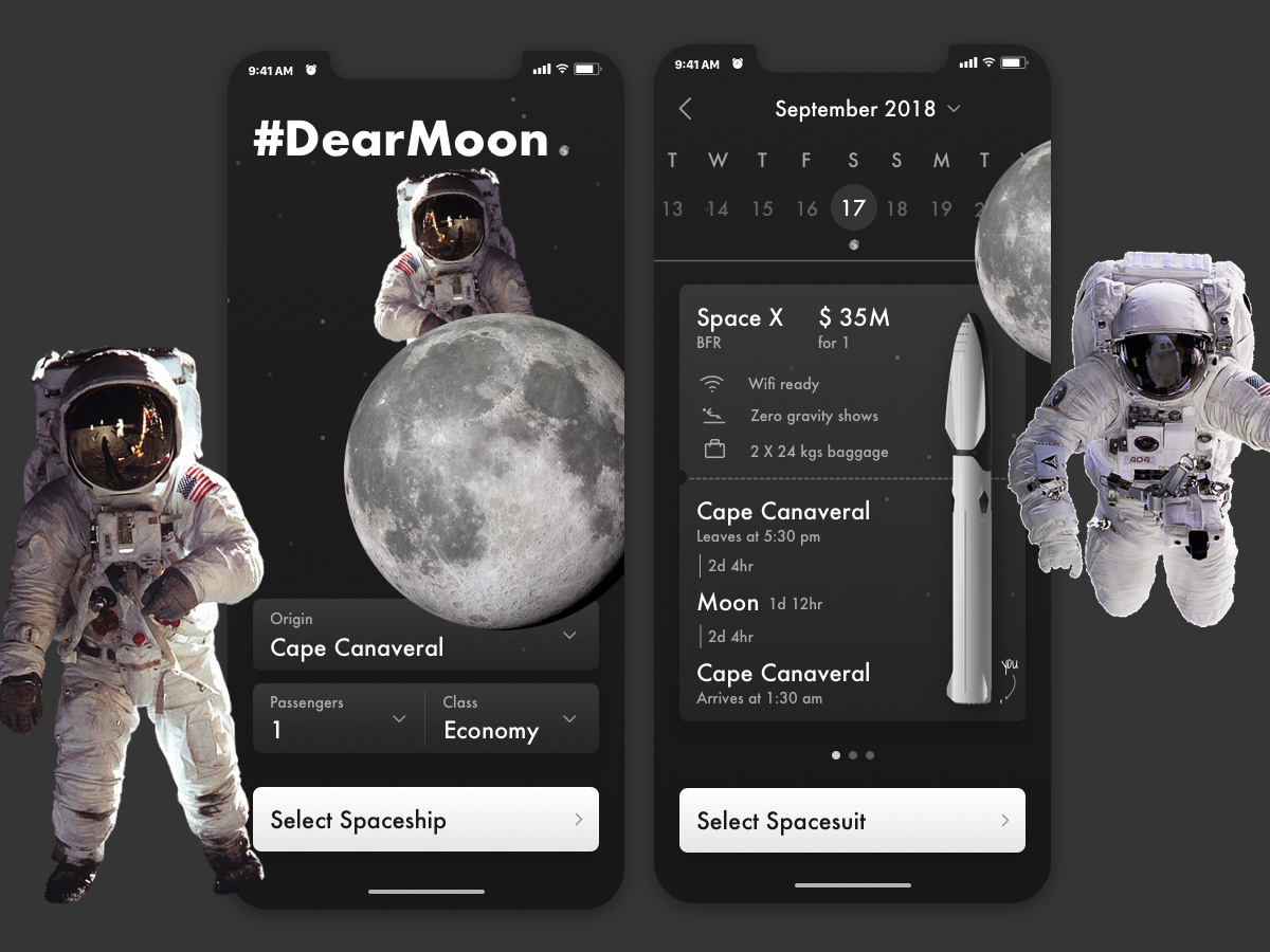 DearMoon (SpaceX) Concept App for Sketch - Freebie Supply