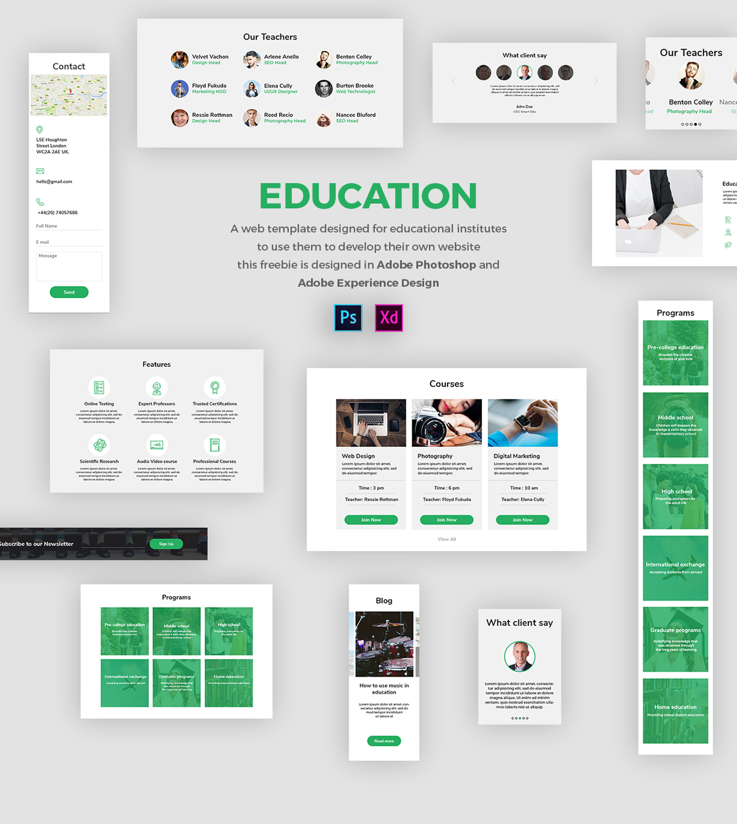 Educational Institute Website Template - Adobe XD Freebie - Freebie Supply