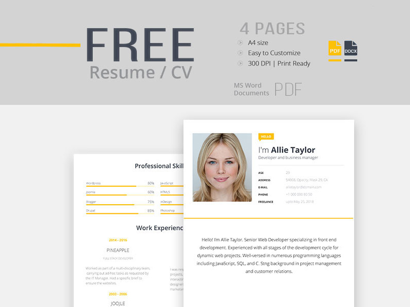 Free Resume CV Template - Freebie Supply