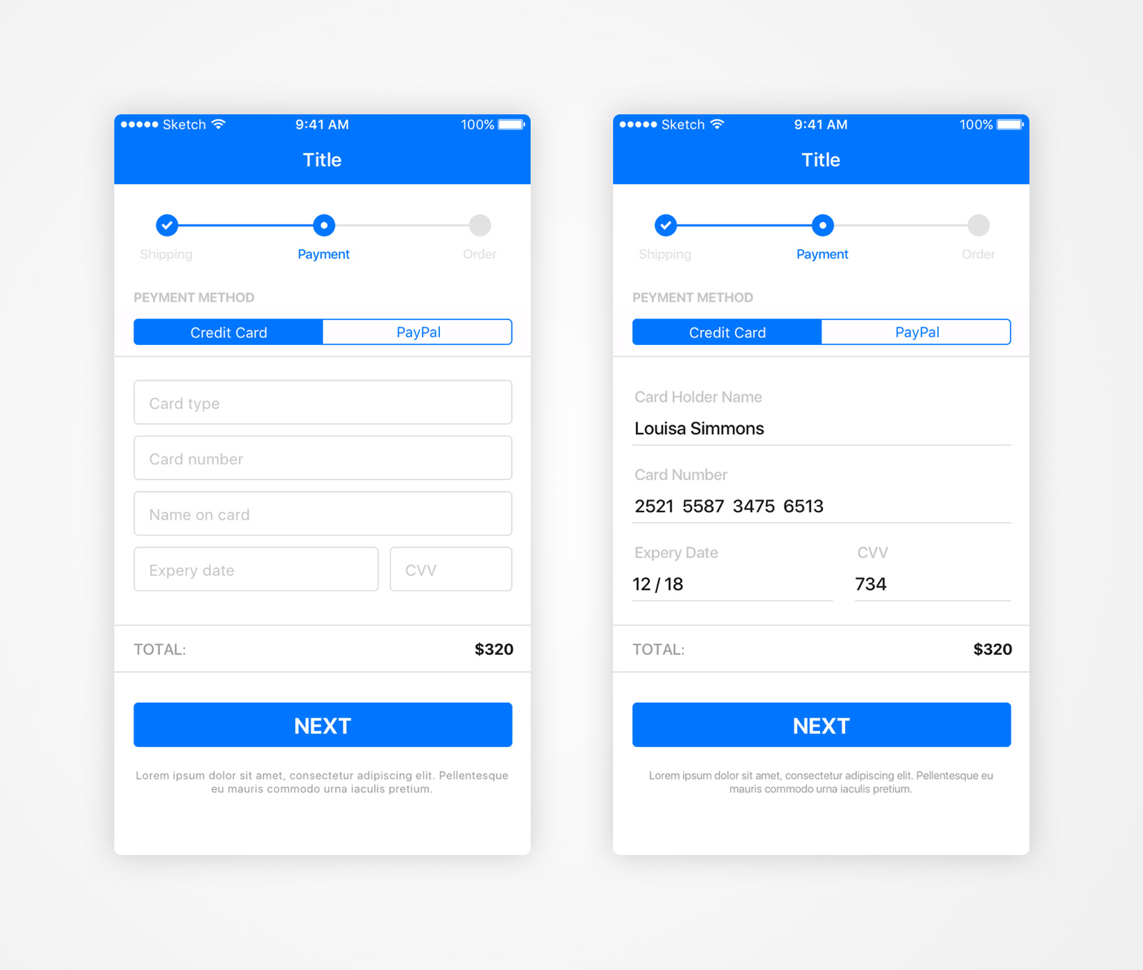 Payment Screen - Sketch Resource - Freebie Supply