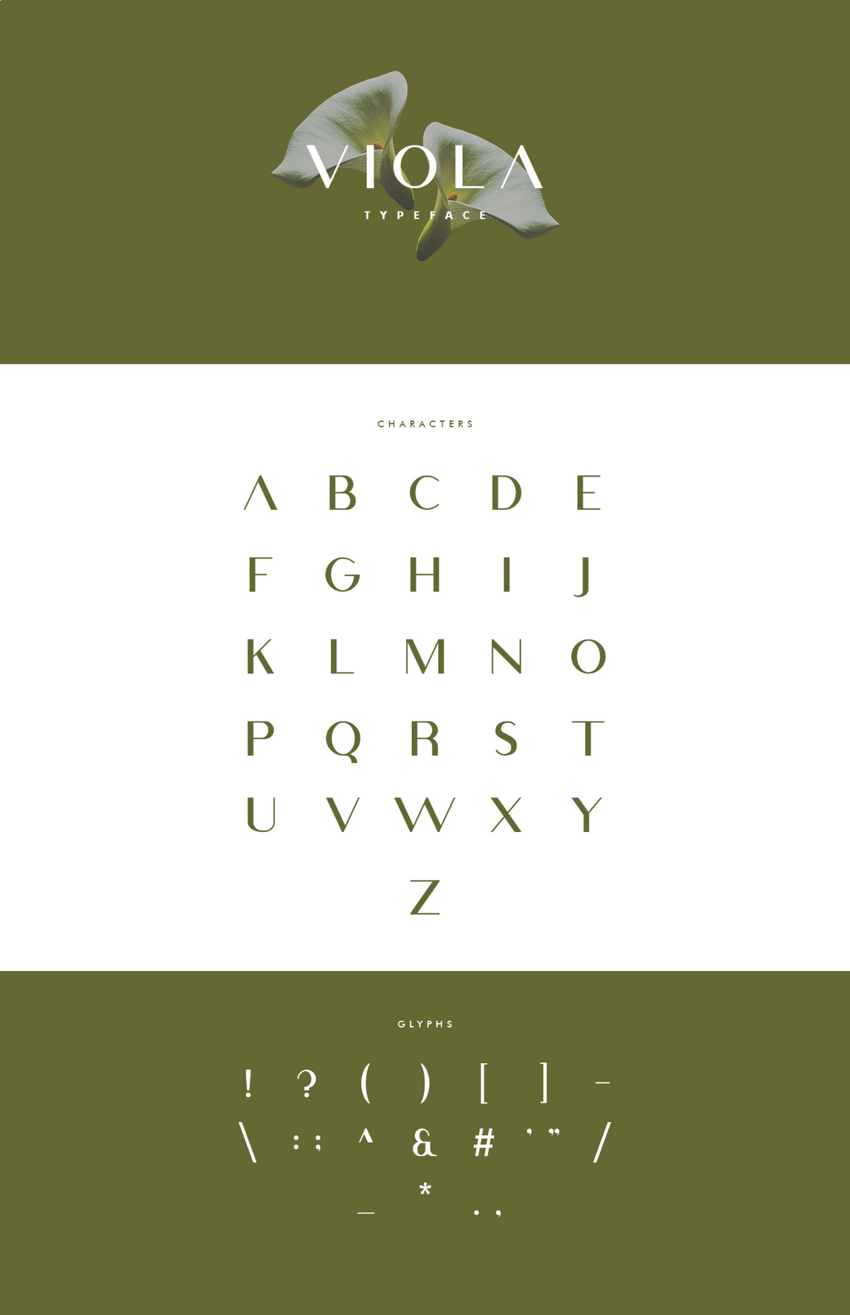 Viola Font - Freebie Supply