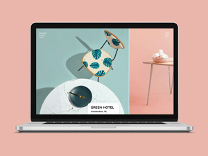 Coding Test Page for Online Education Website - Freebie Supply