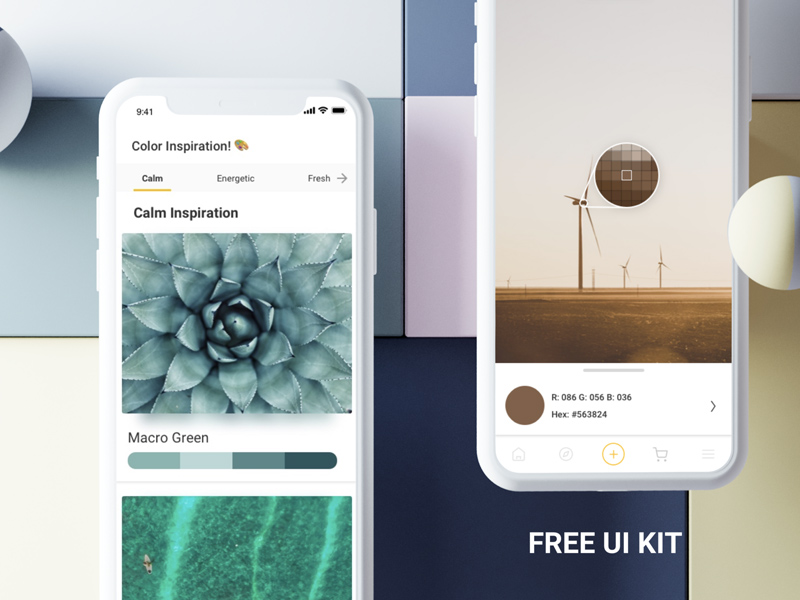Wallet App Concept UI - Freebie Supply