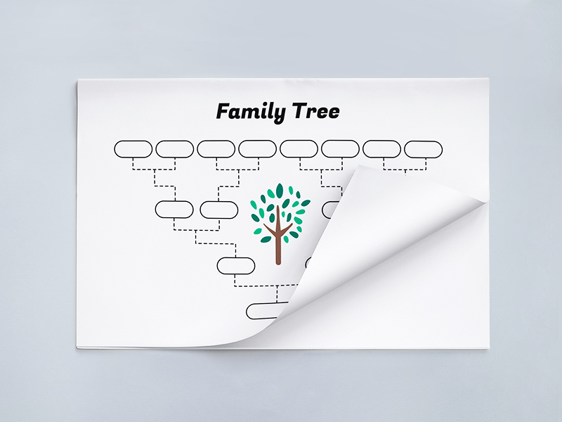 Simple Family Tree Template Vector - Freebie Supply