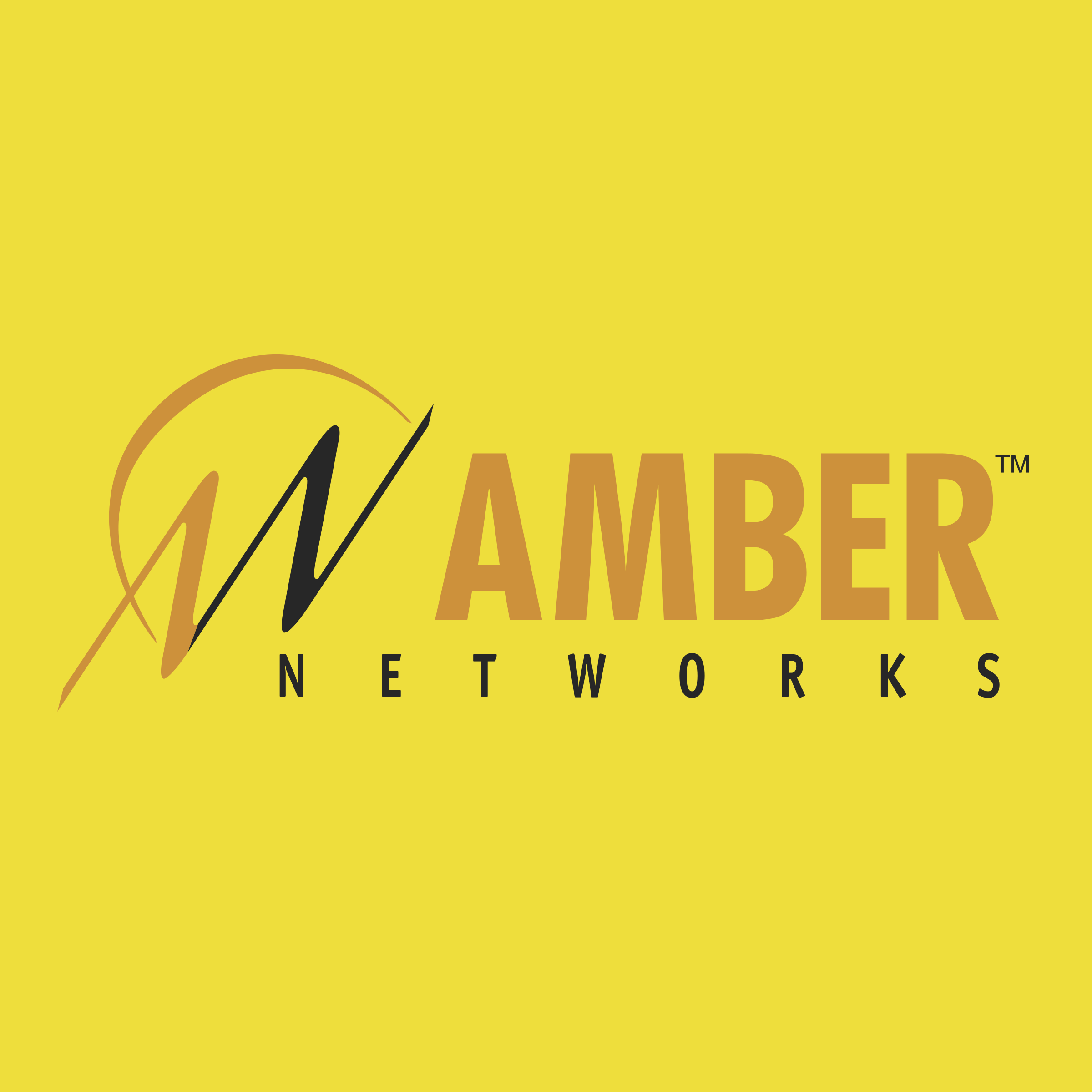 Amber Networks Logo PNG Transparent & SVG Vector - Freebie Supply