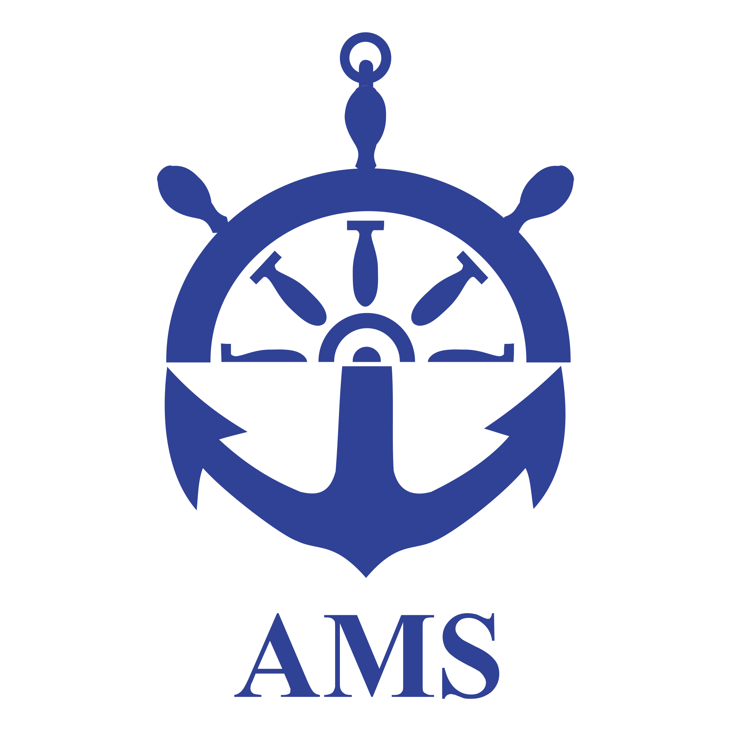 Ams Performance Logo