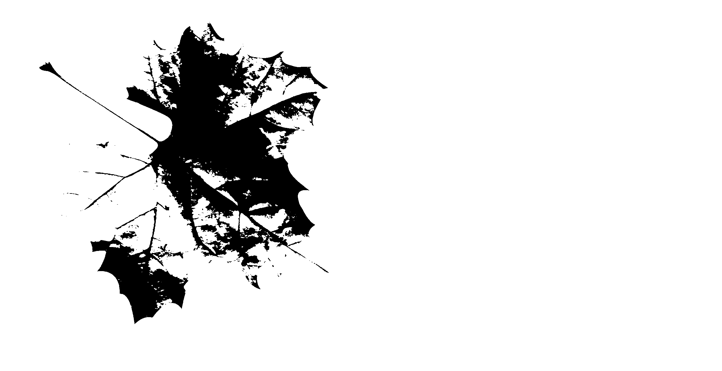 BC 18 BC Logo PNG Transparent & SVG Vector - Freebie Supply