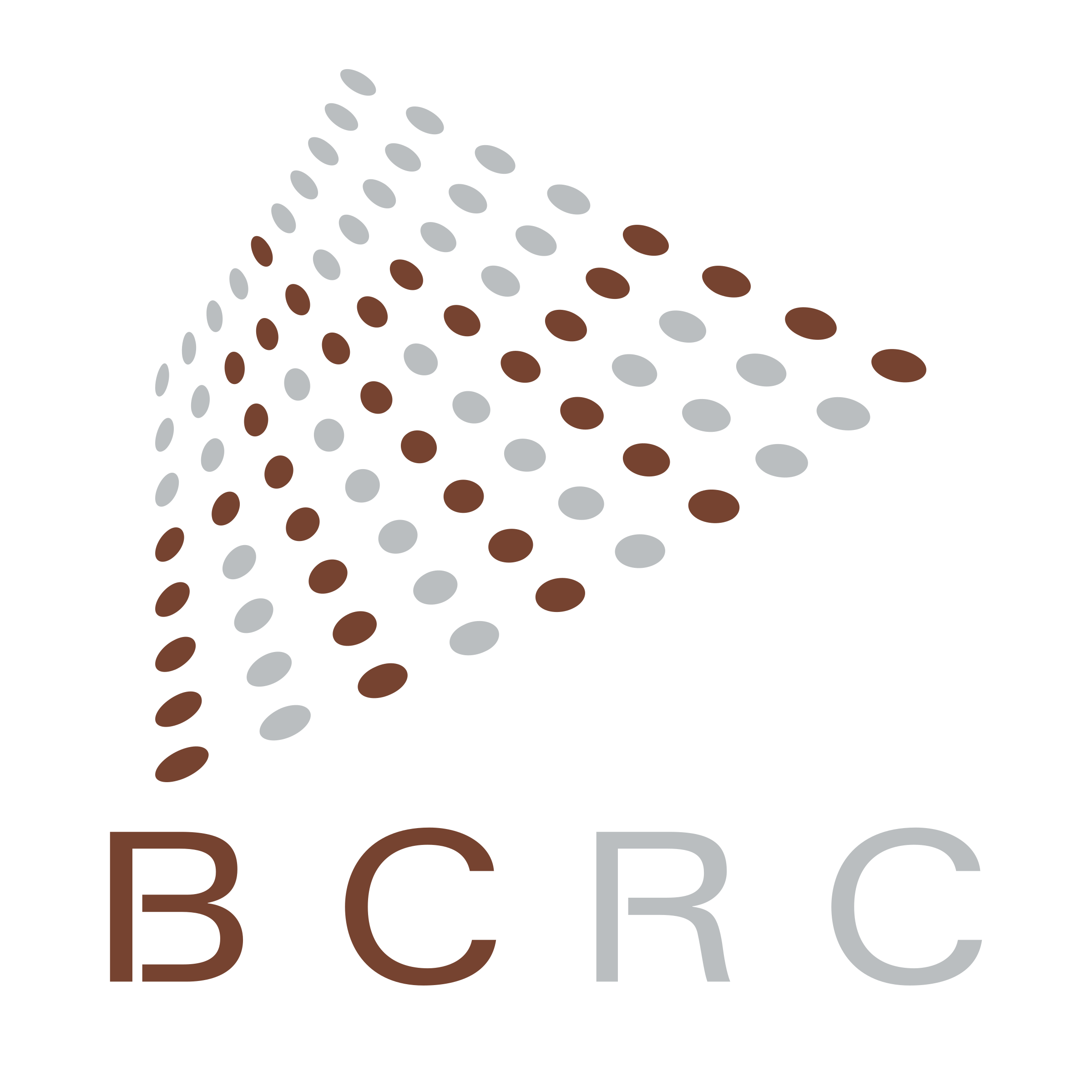 BCRC 01 Logo PNG Transparent & SVG Vector - Freebie Supply