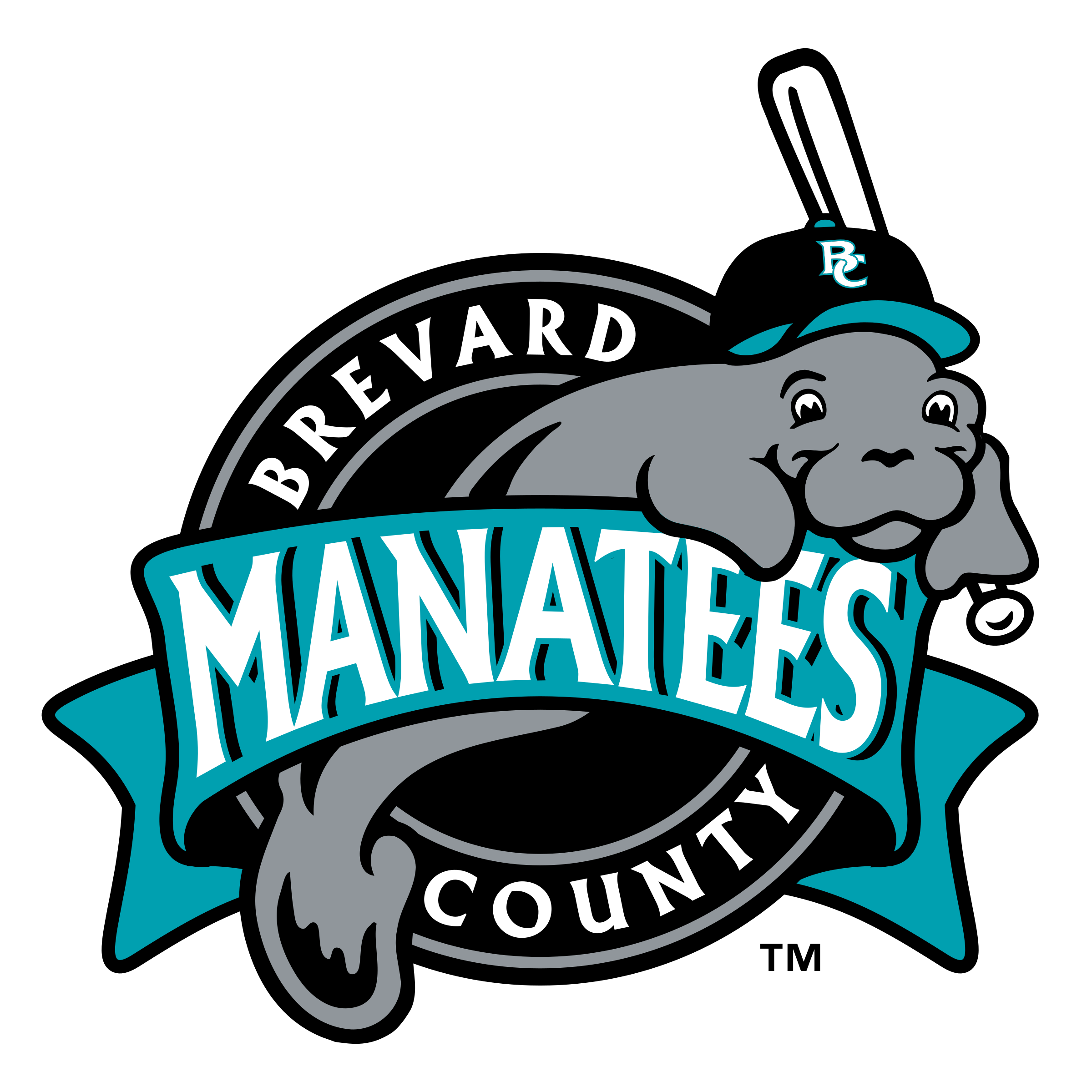 Brevard County Manatees Logo PNG Transparent & SVG Vector - Freebie Supply