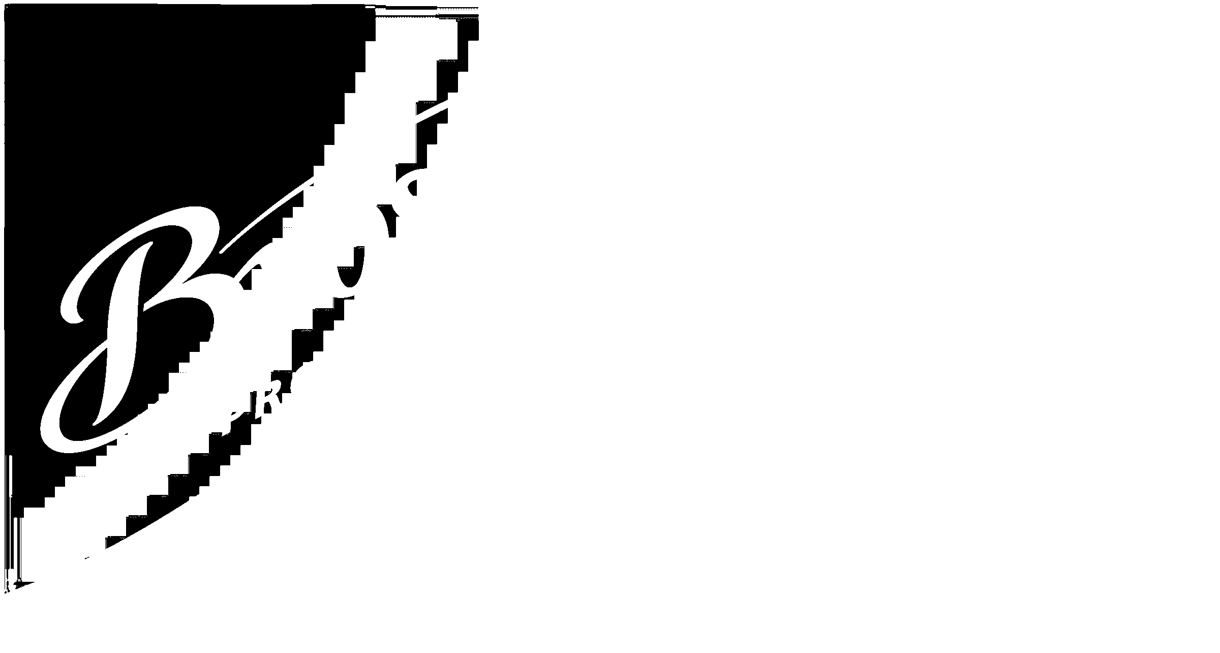 Brossard Professionnel Logo PNG Transparent & SVG Vector - Freebie Supply