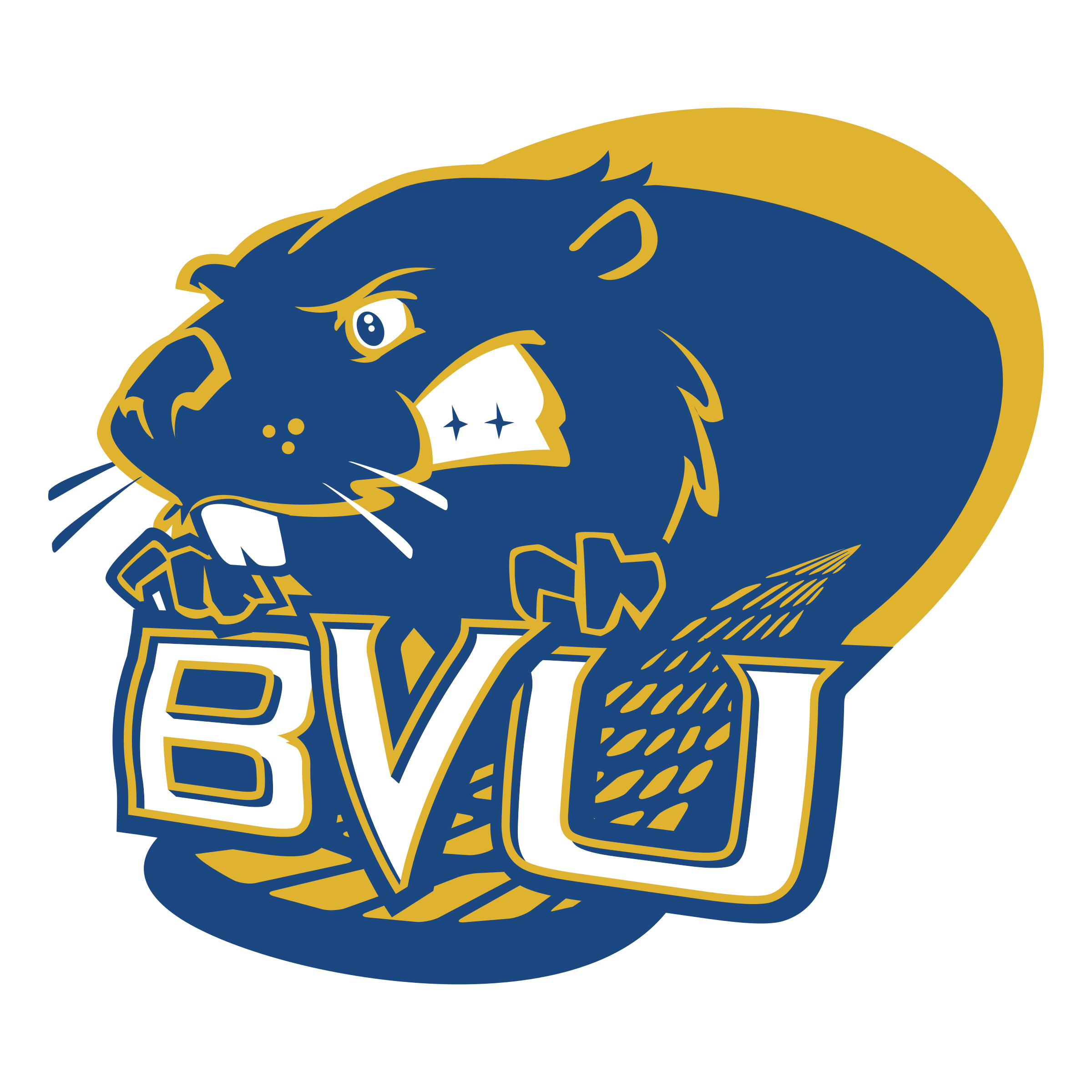 Bvu Logo