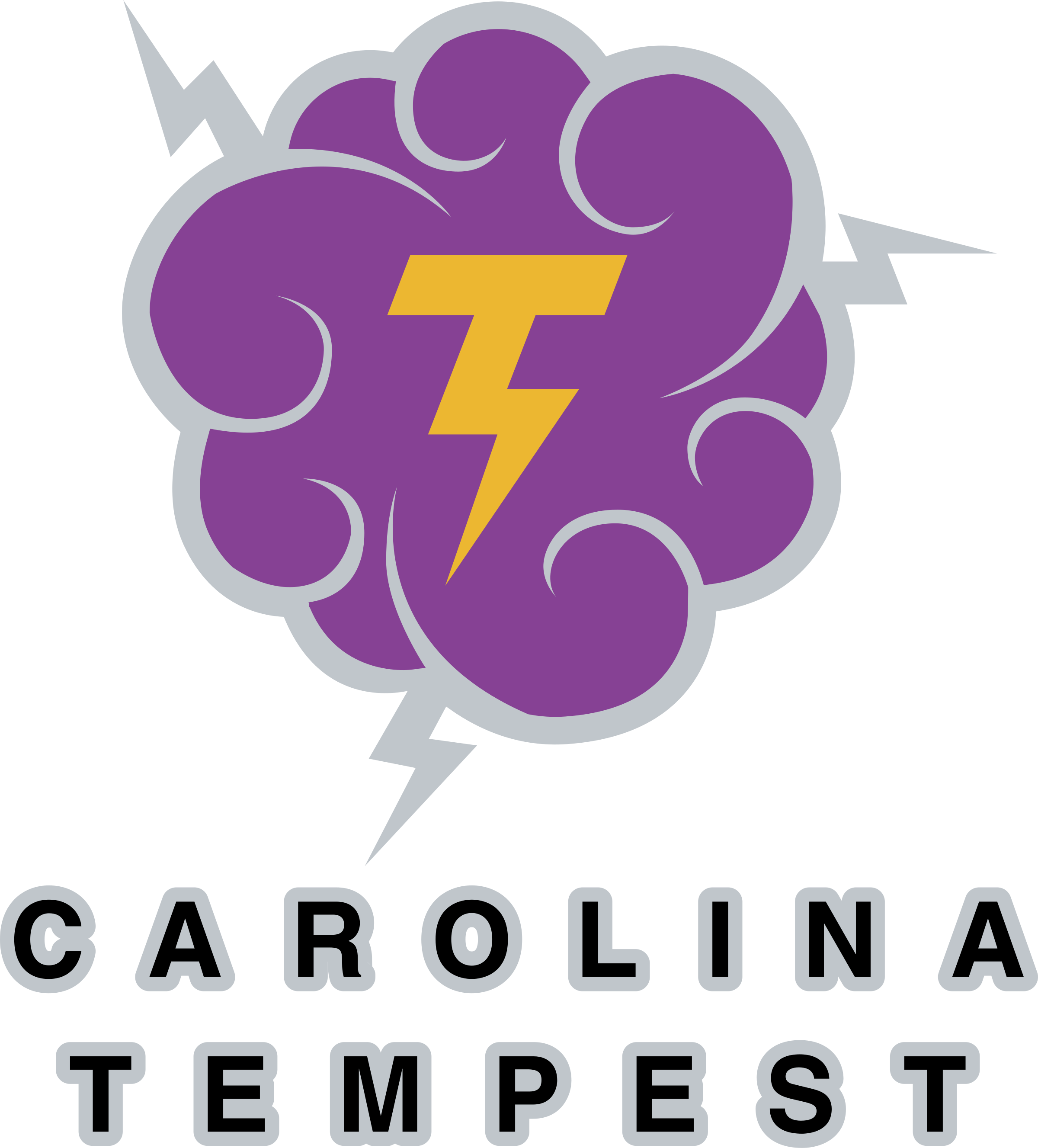 Carolina Tempest Logo PNG Transparent & SVG Vector - Freebie Supply