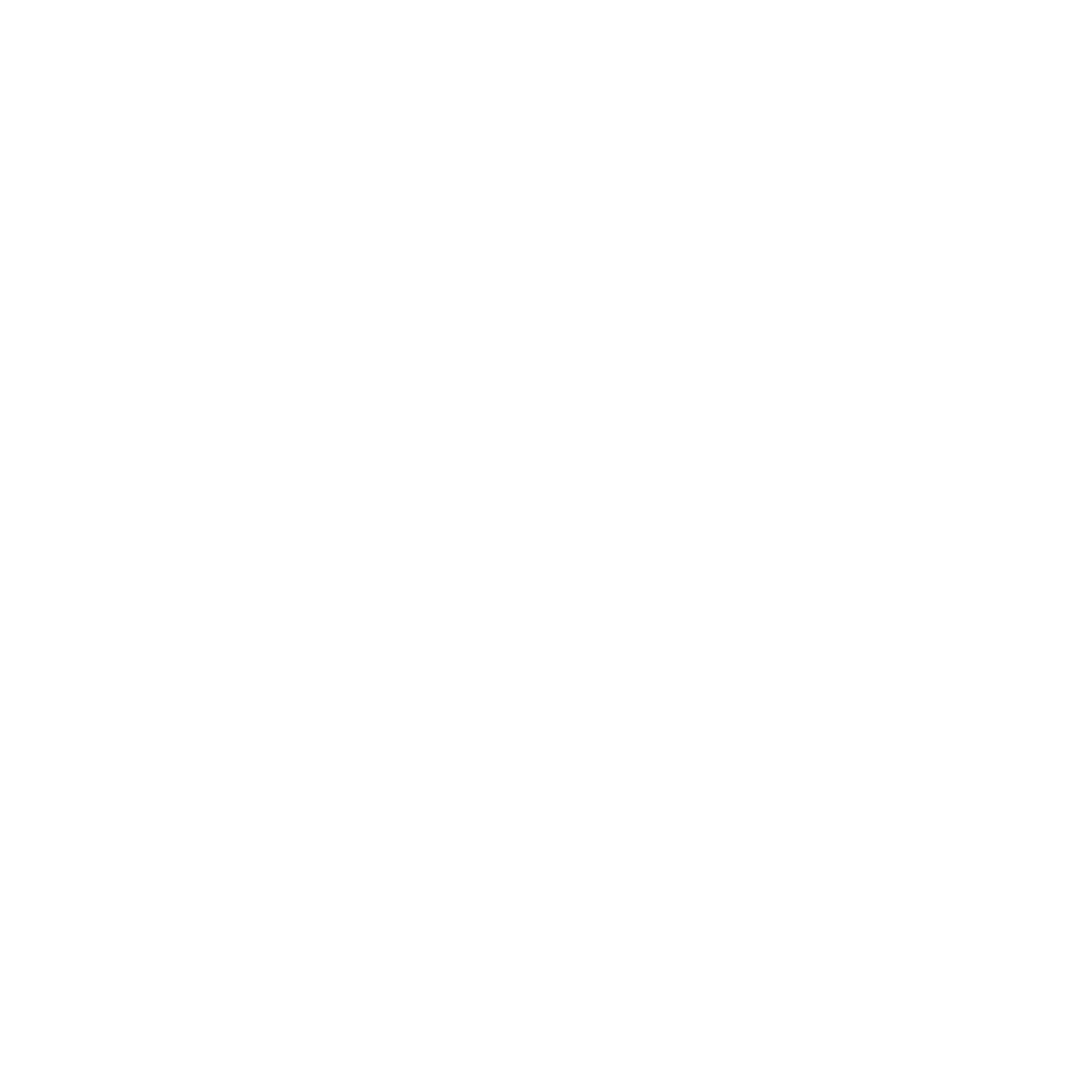 Carotrans Logo
