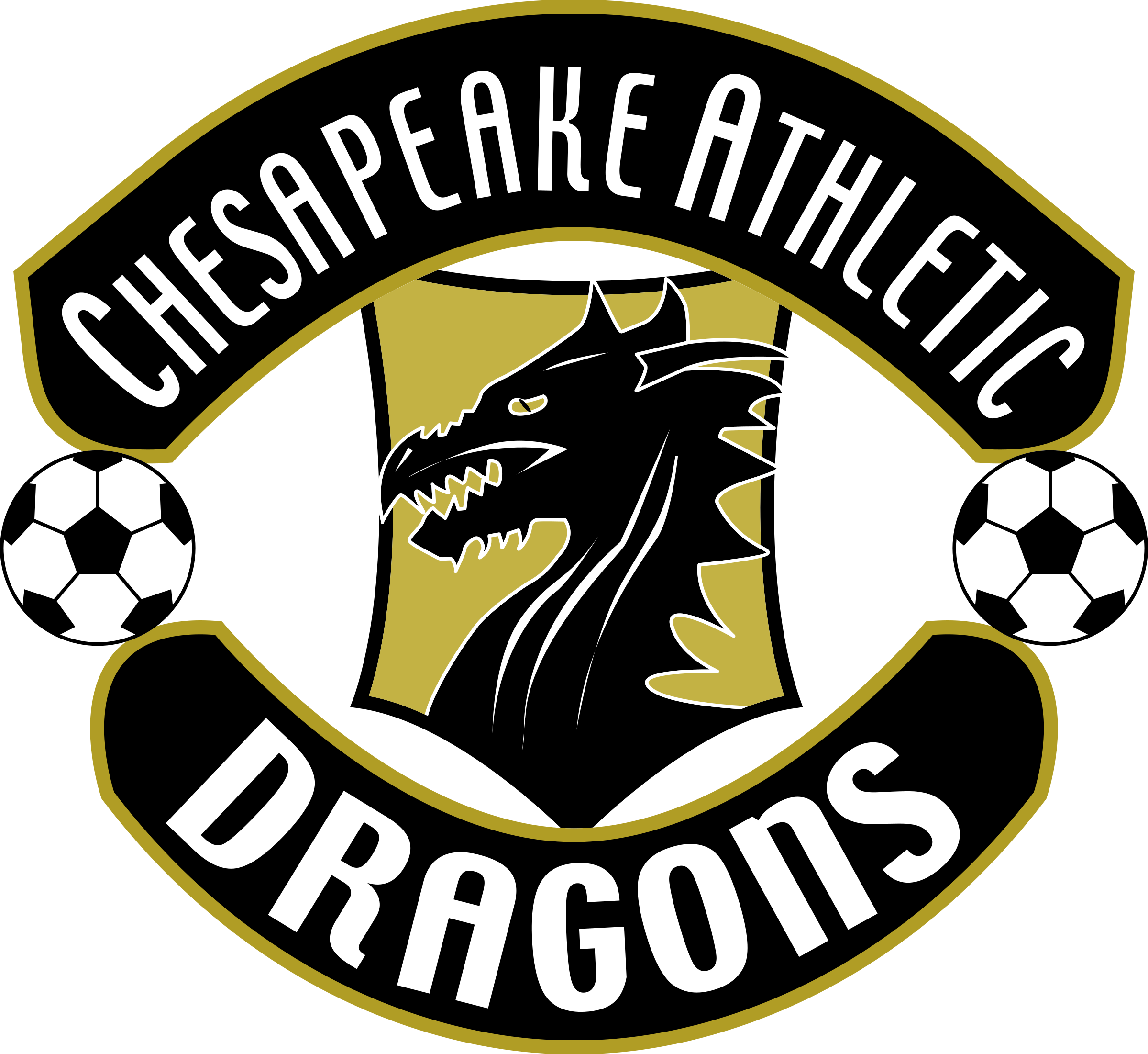 Dragon Football Logo