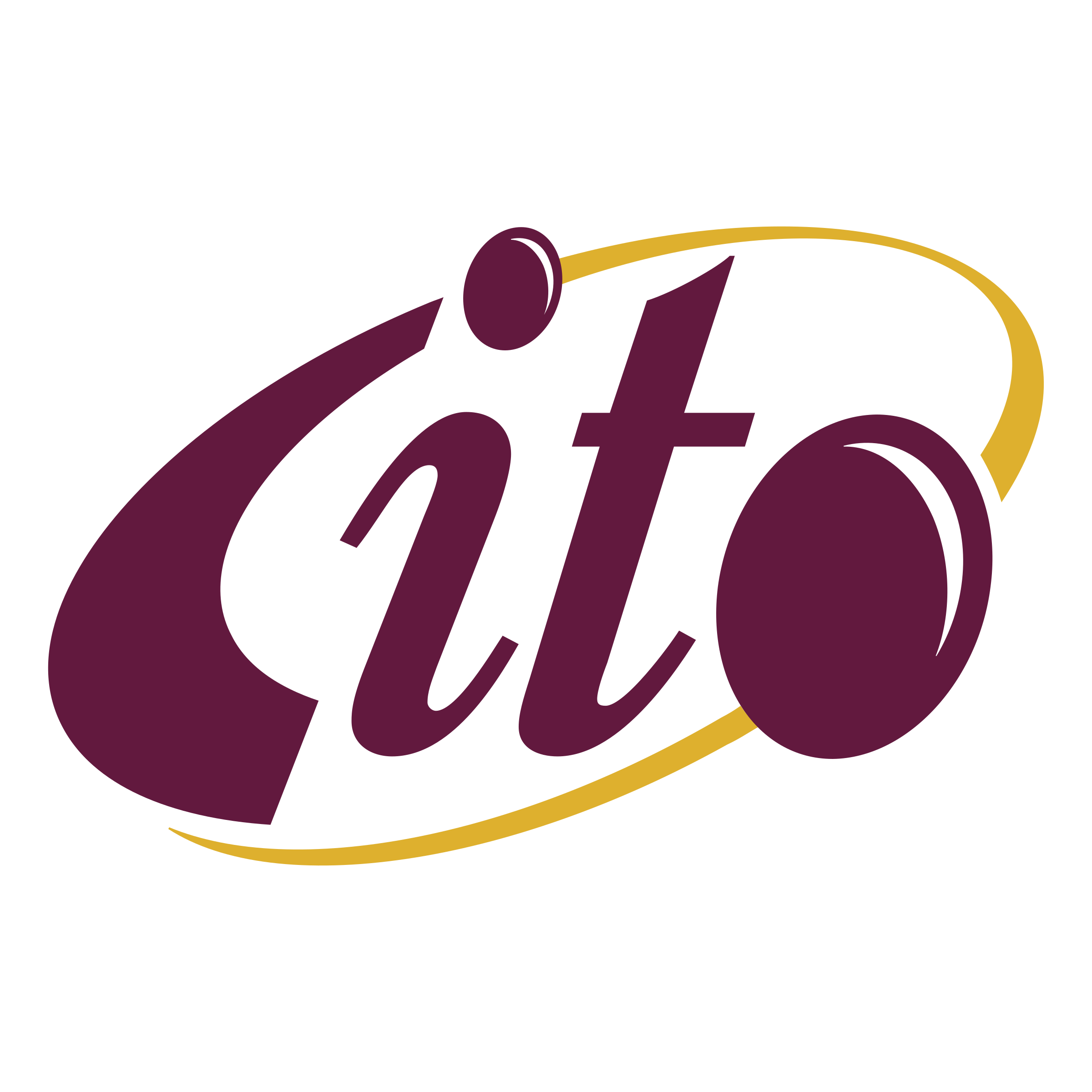 Cito Logo PNG Transparent & SVG Vector - Freebie Supply