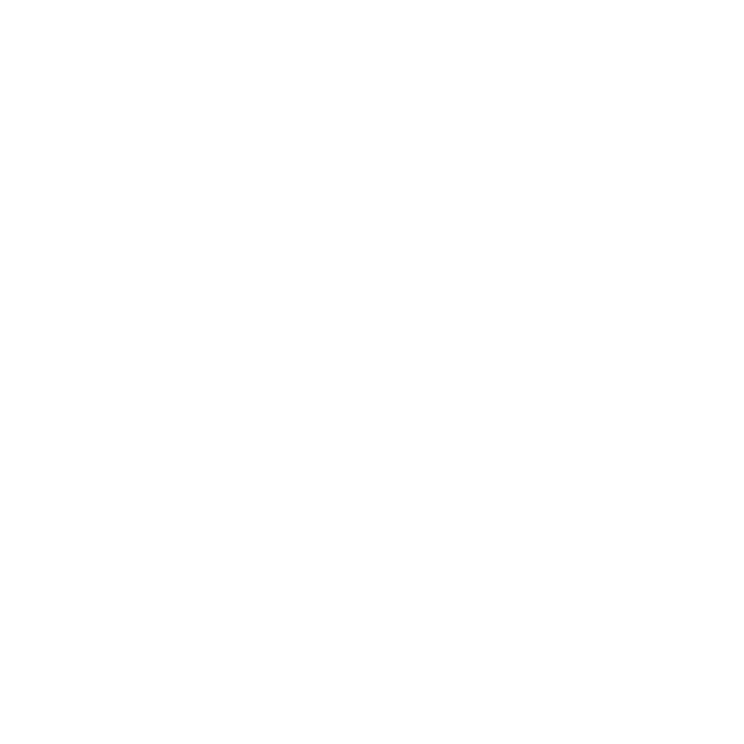 Courion Logo