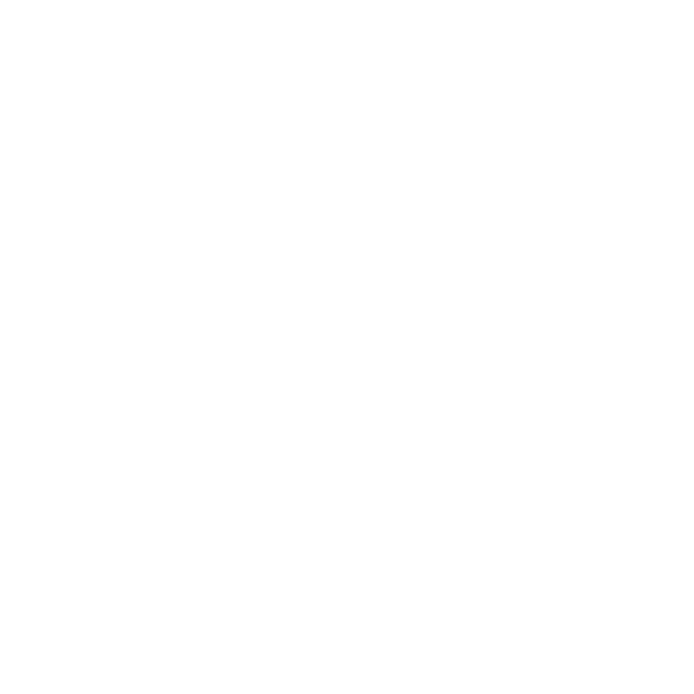Danet Logo