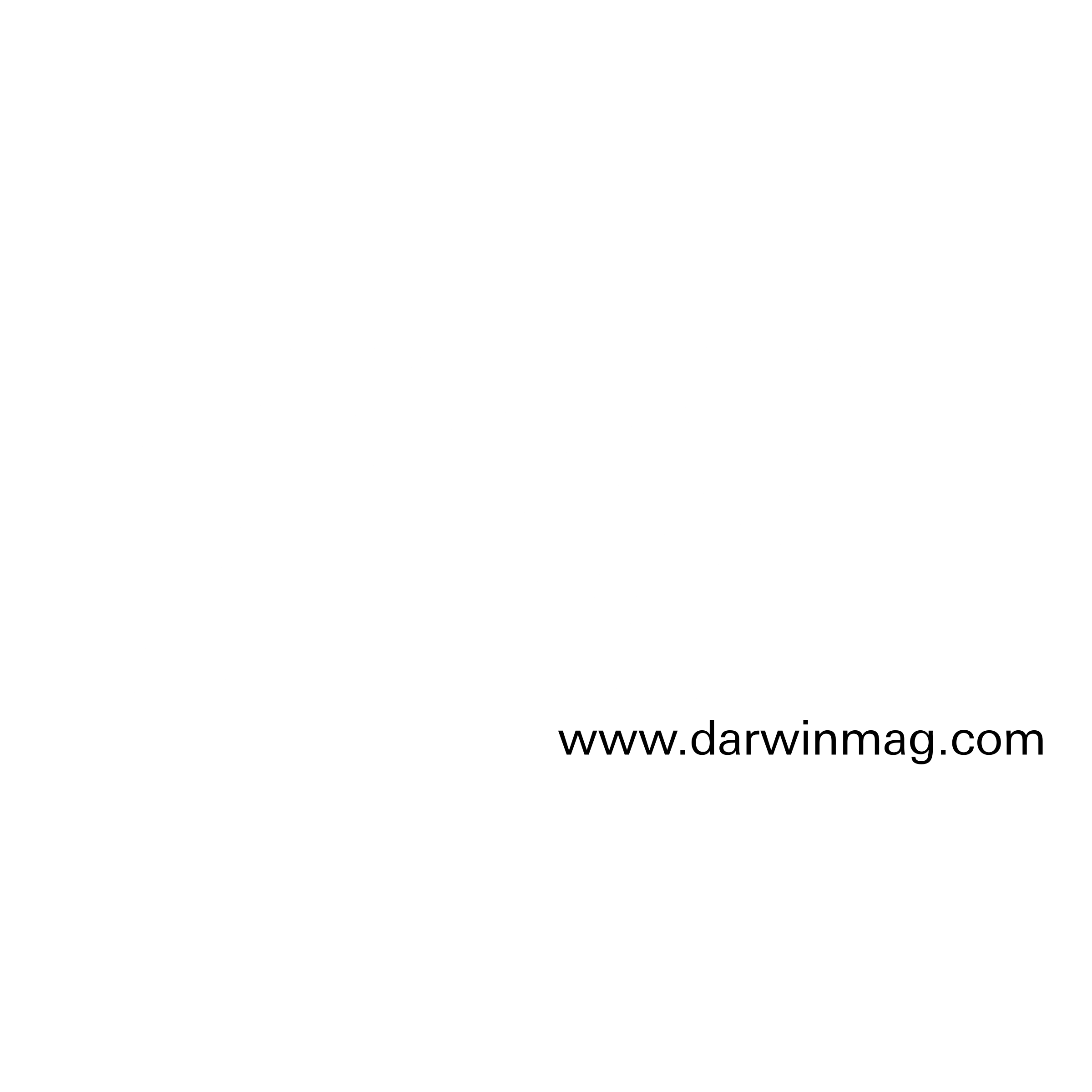 Darwin Logo PNG Transparent & SVG Vector - Freebie Supply