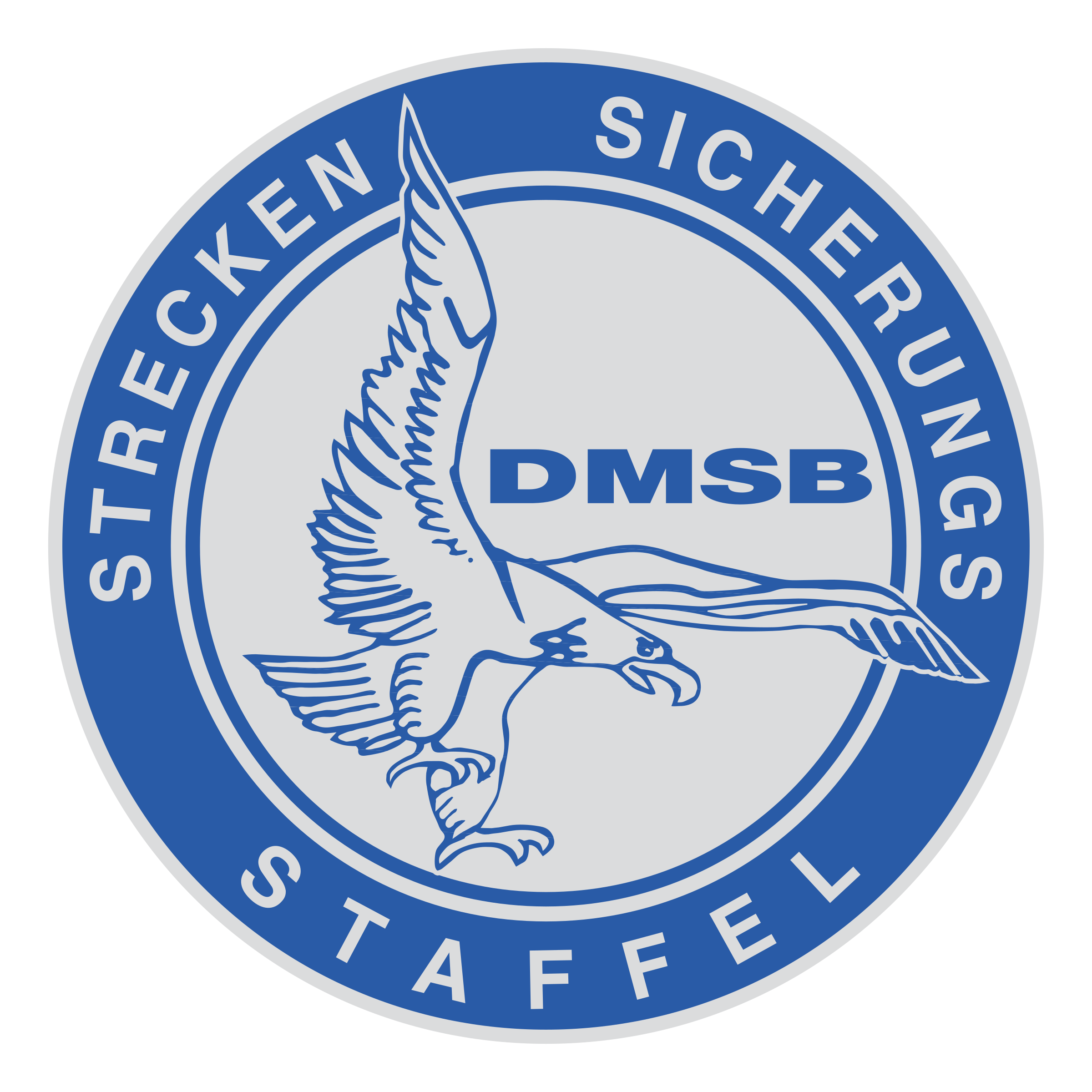 Dmsb Logo