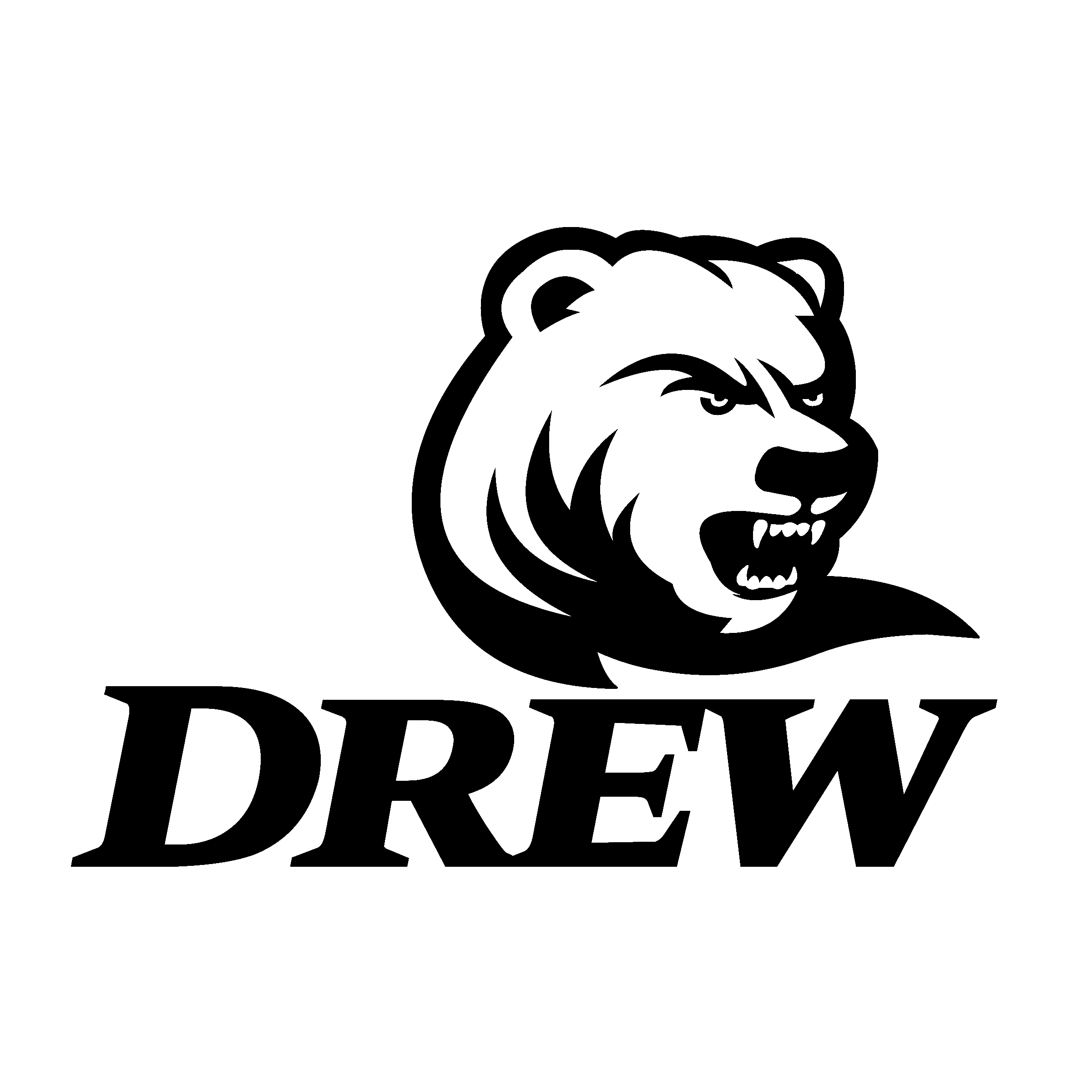 Drew University Logo