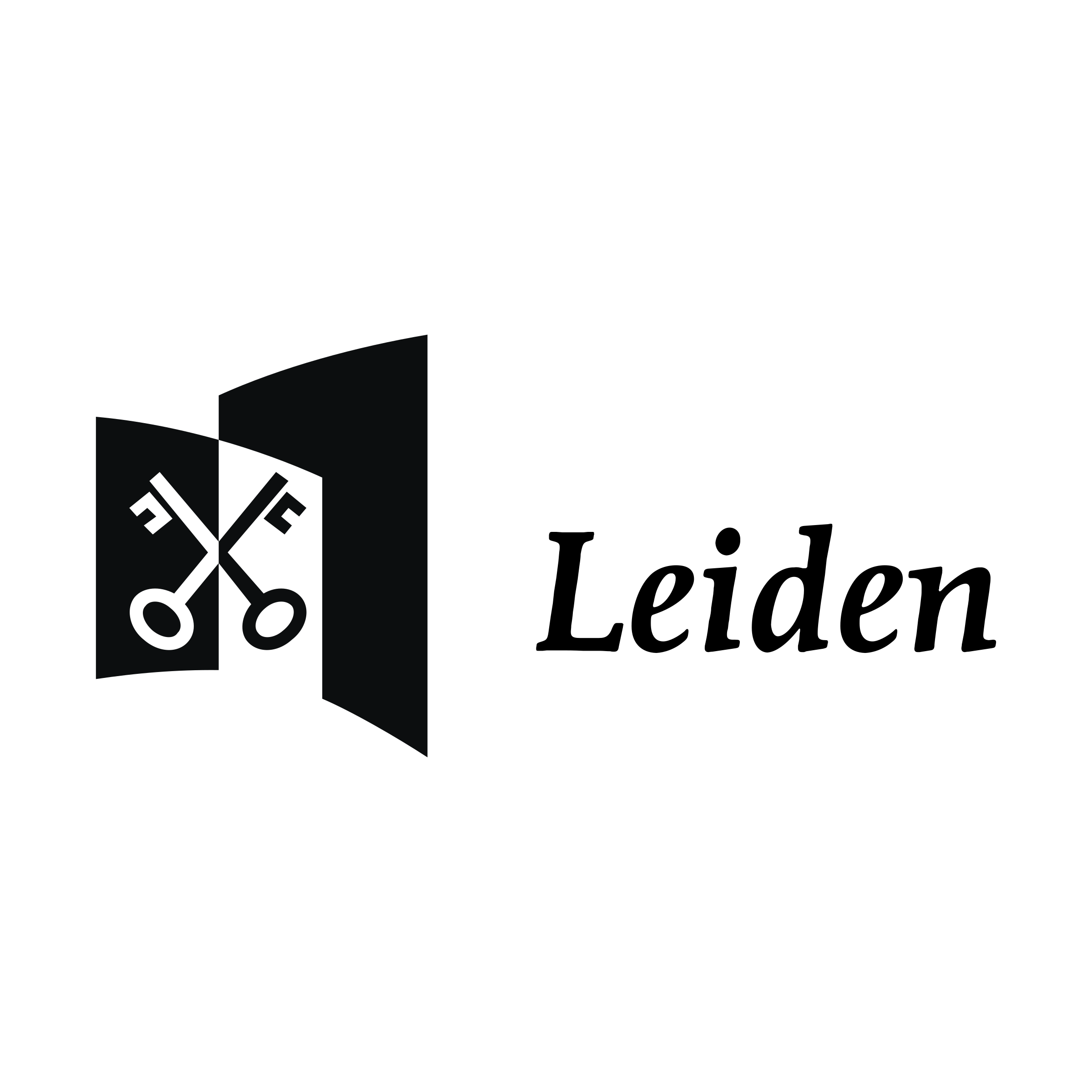 Gemeente Leiden Logo Gemeente Leiden Benut Elektra Aansluitingen Voor