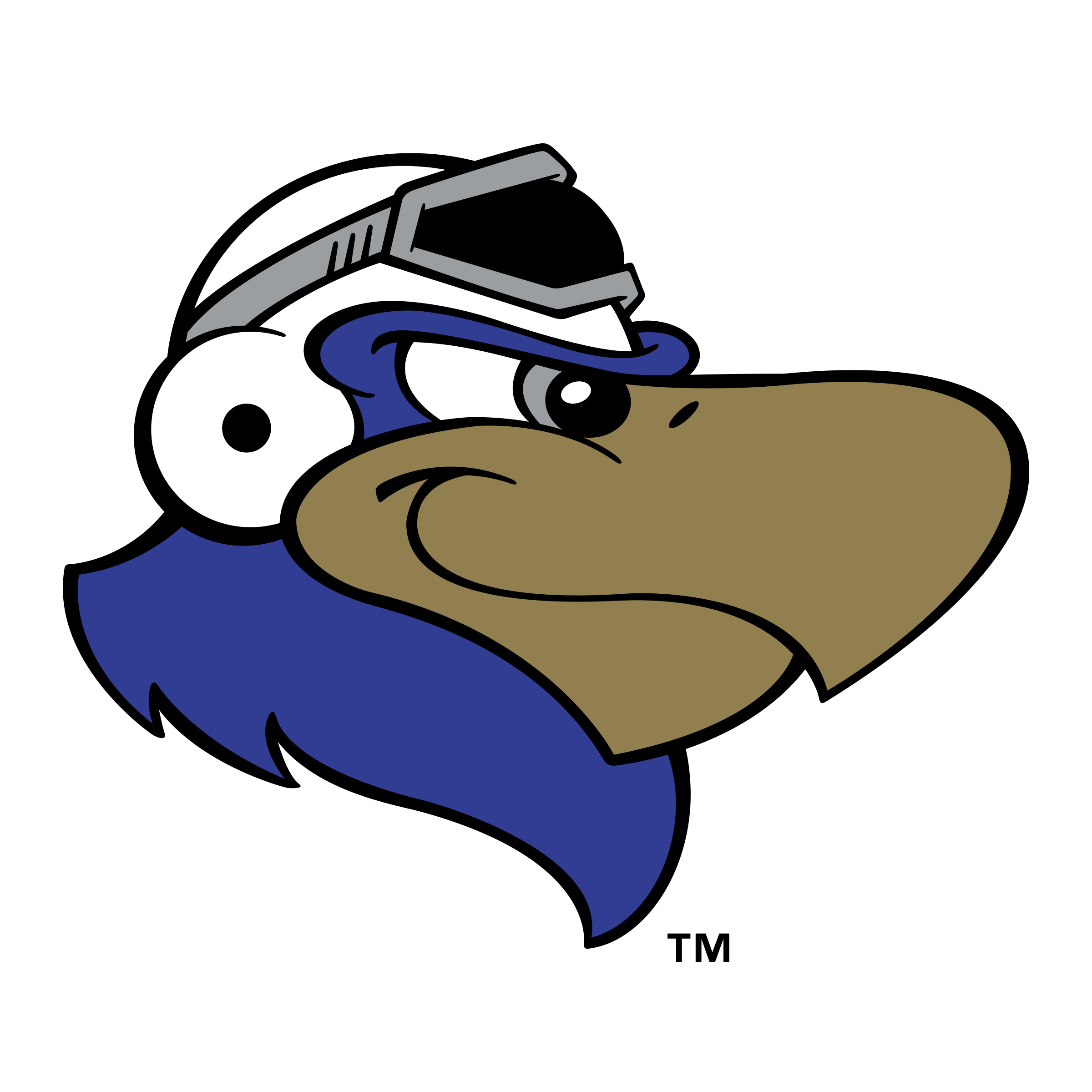 Jethawks Logo