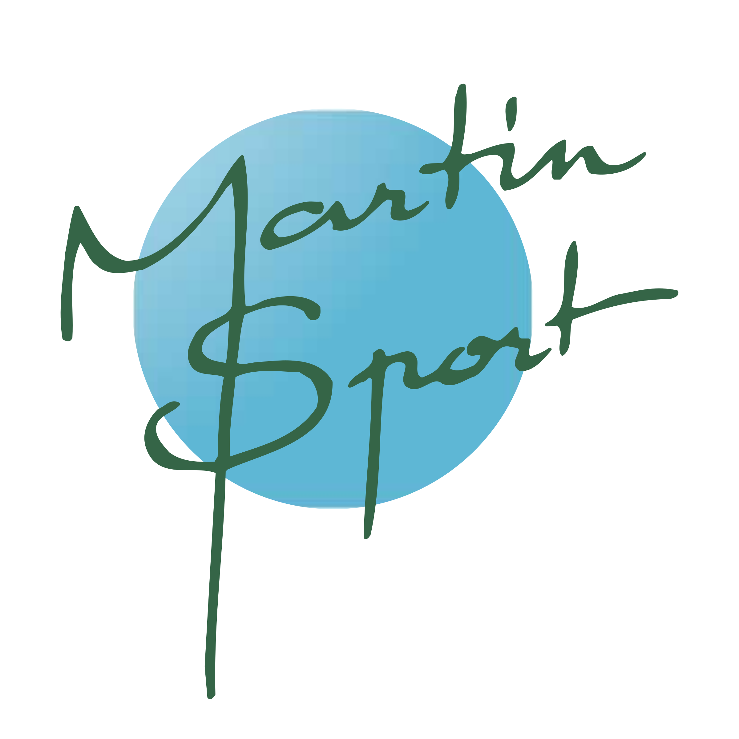 Martin Sport Logo PNG Transparent & SVG Vector - Freebie Supply