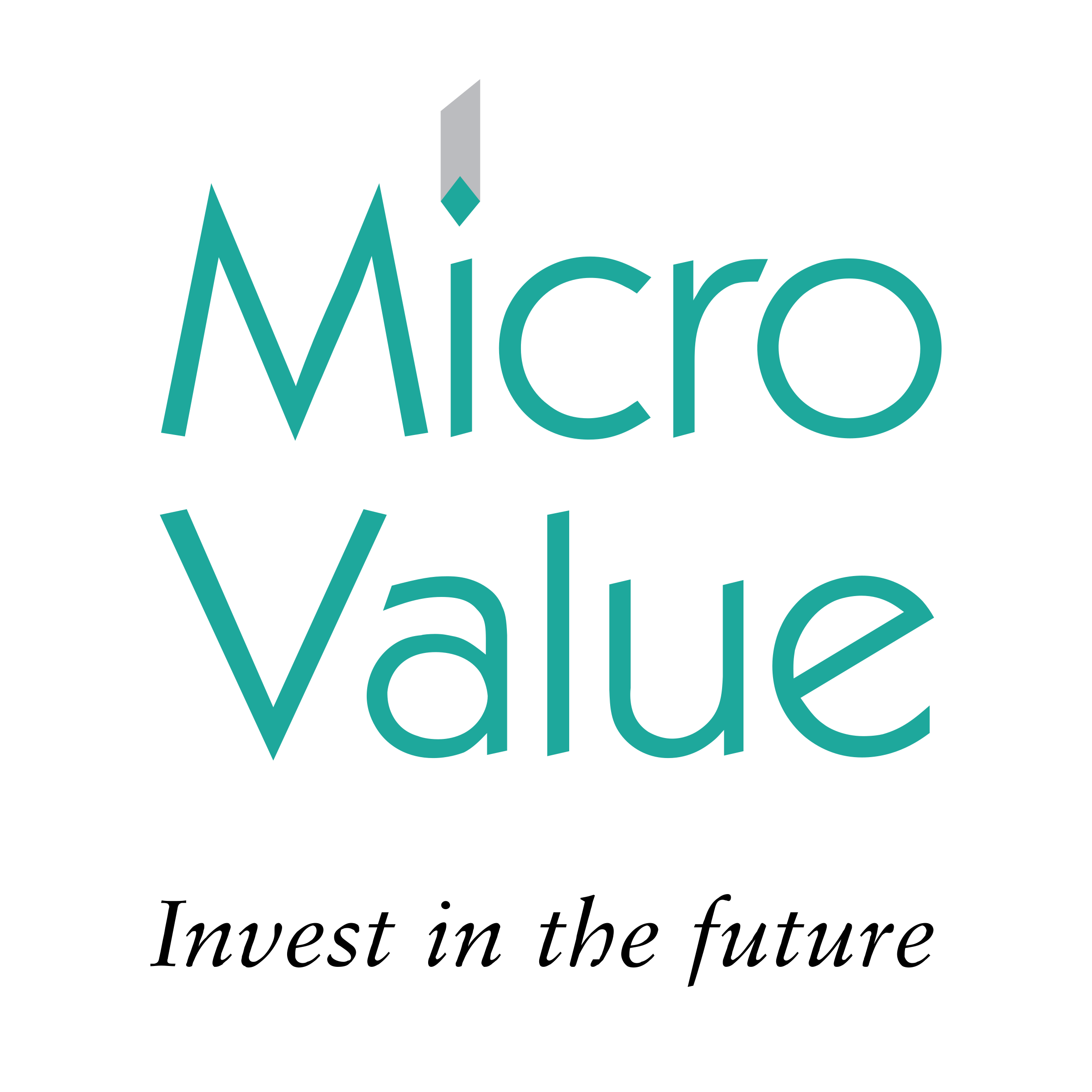 Micro Value Logo PNG Transparent & SVG Vector - Freebie Supply