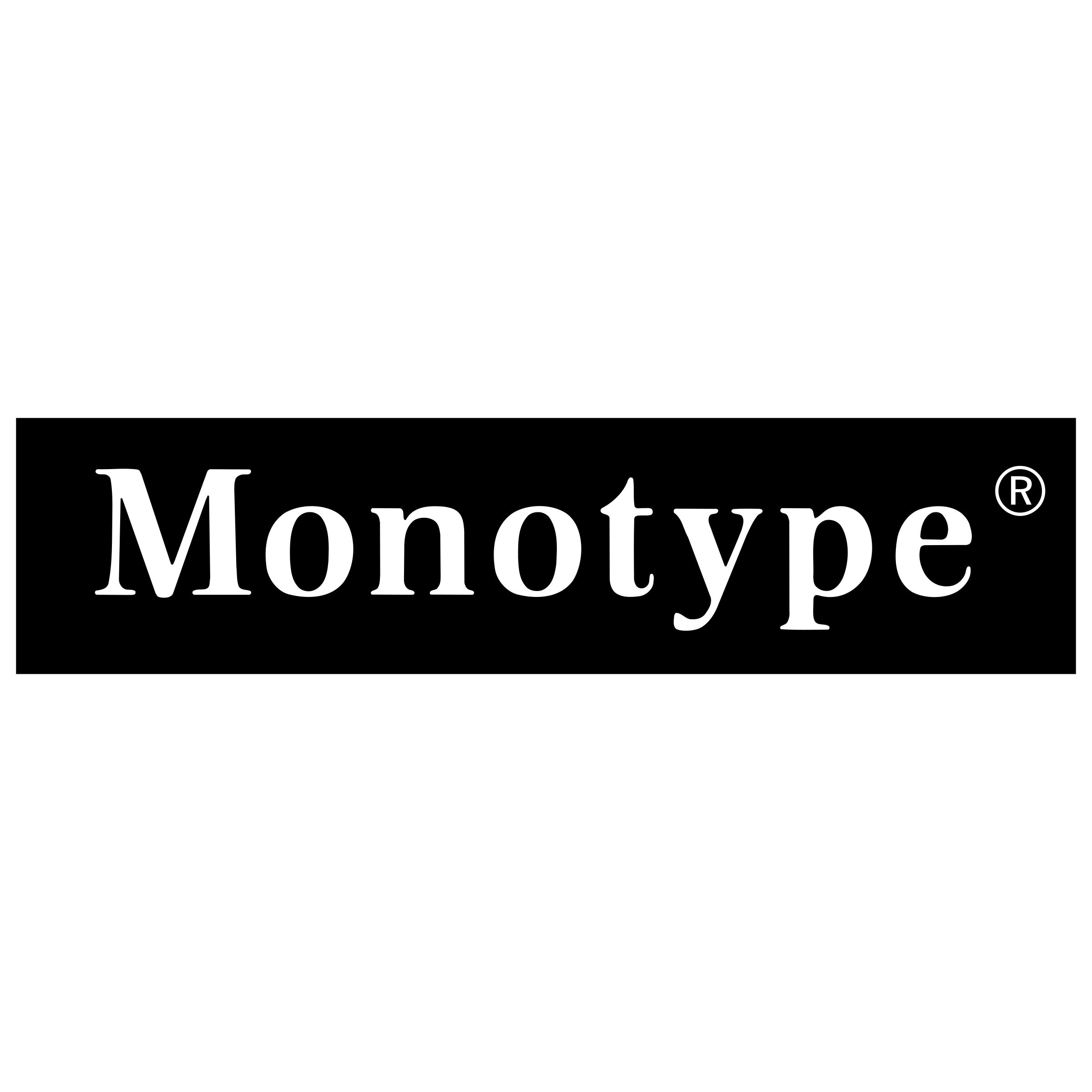 Monotype Logo HILFIGER MONOTYPE EMBROIDERY LOGO JUMPE