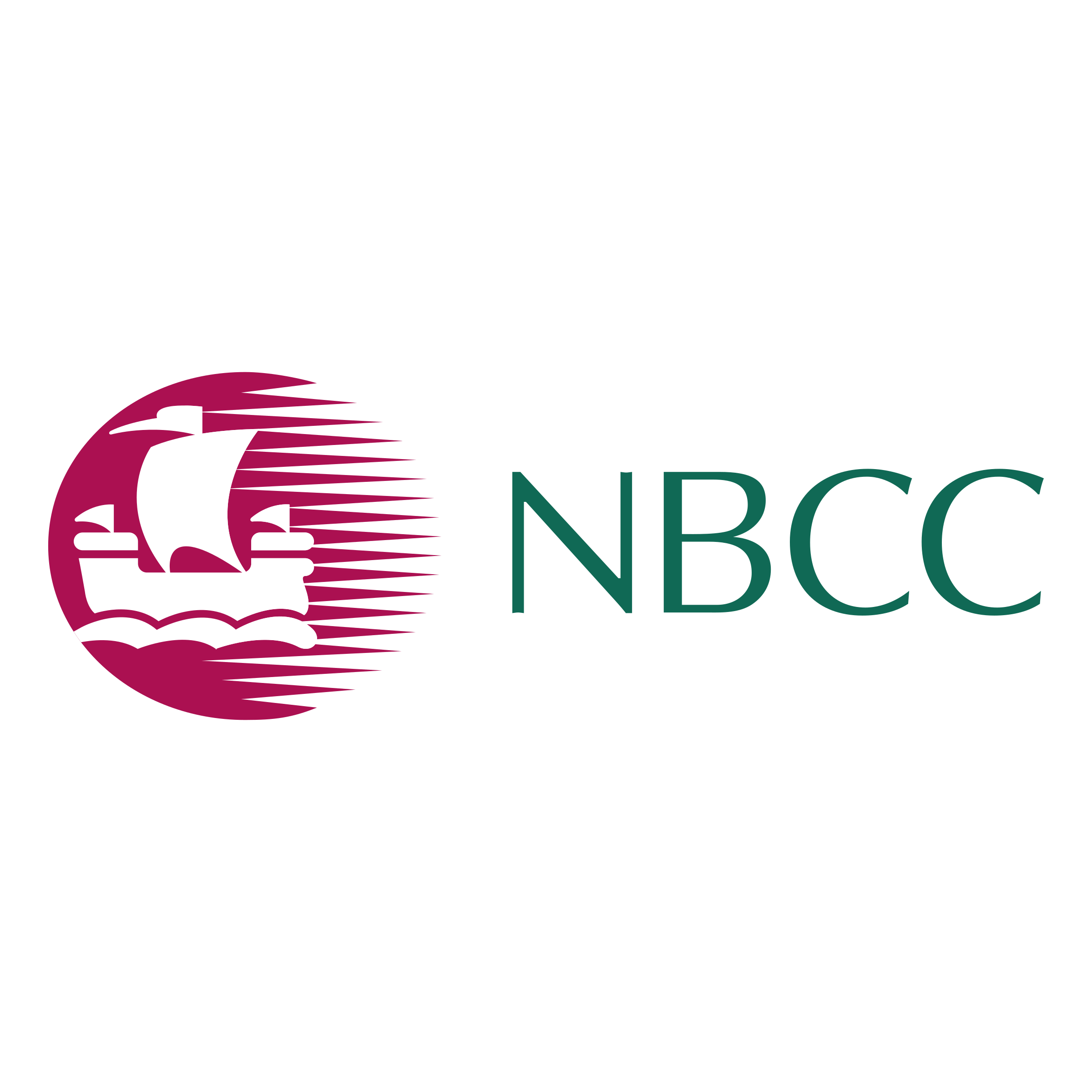 Ccnb Logo