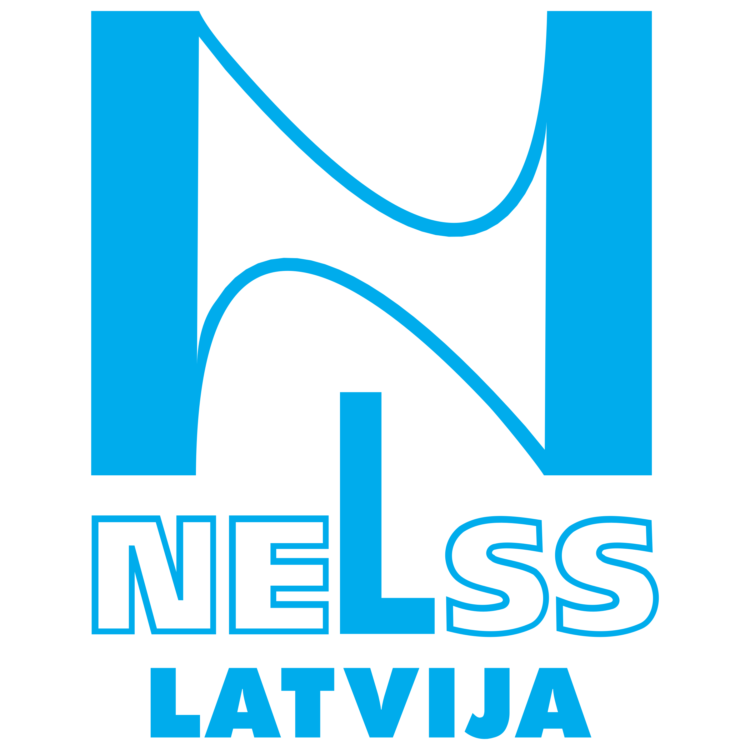 Nelsen Logo