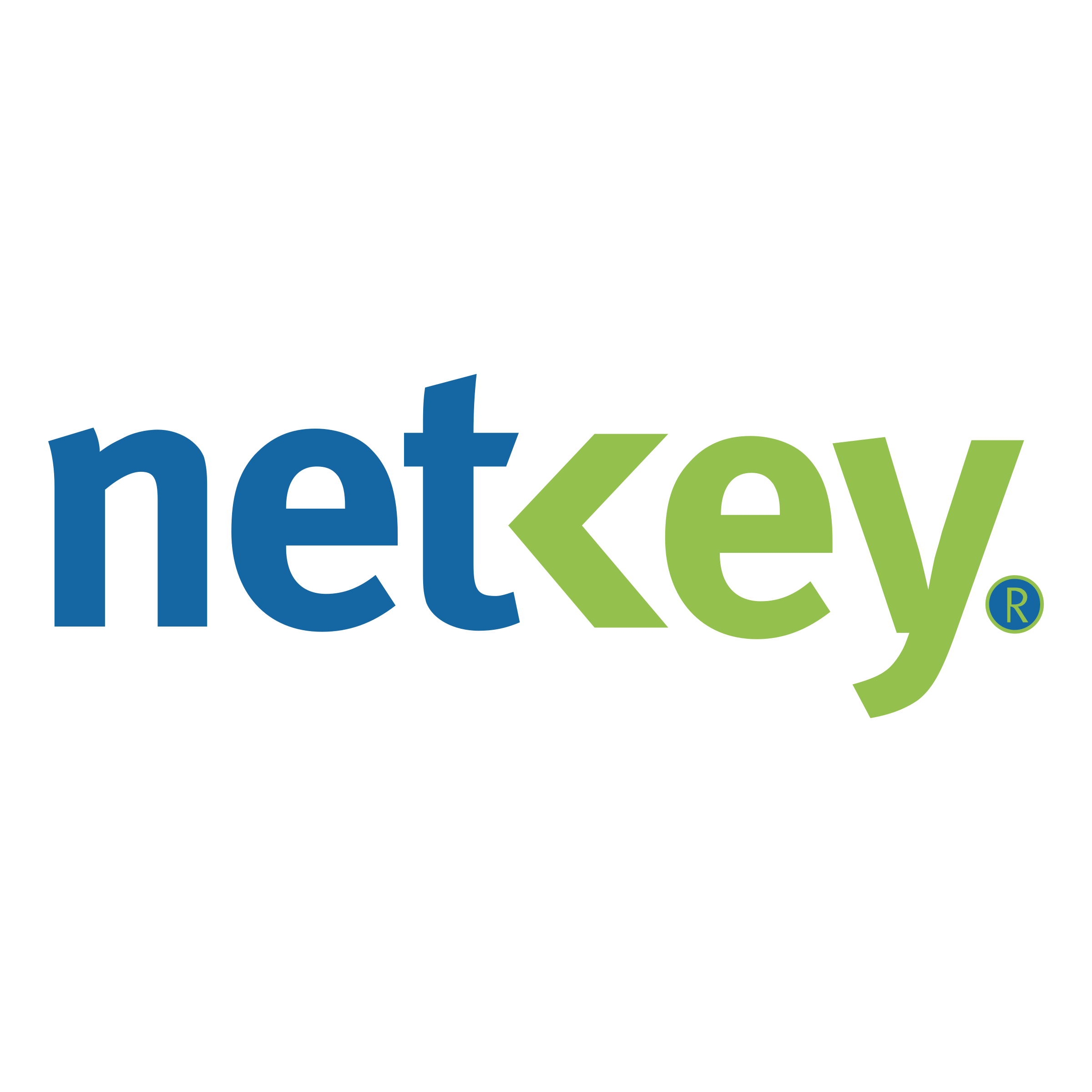 Netkey Logo PNG Transparent & SVG Vector - Freebie Supply