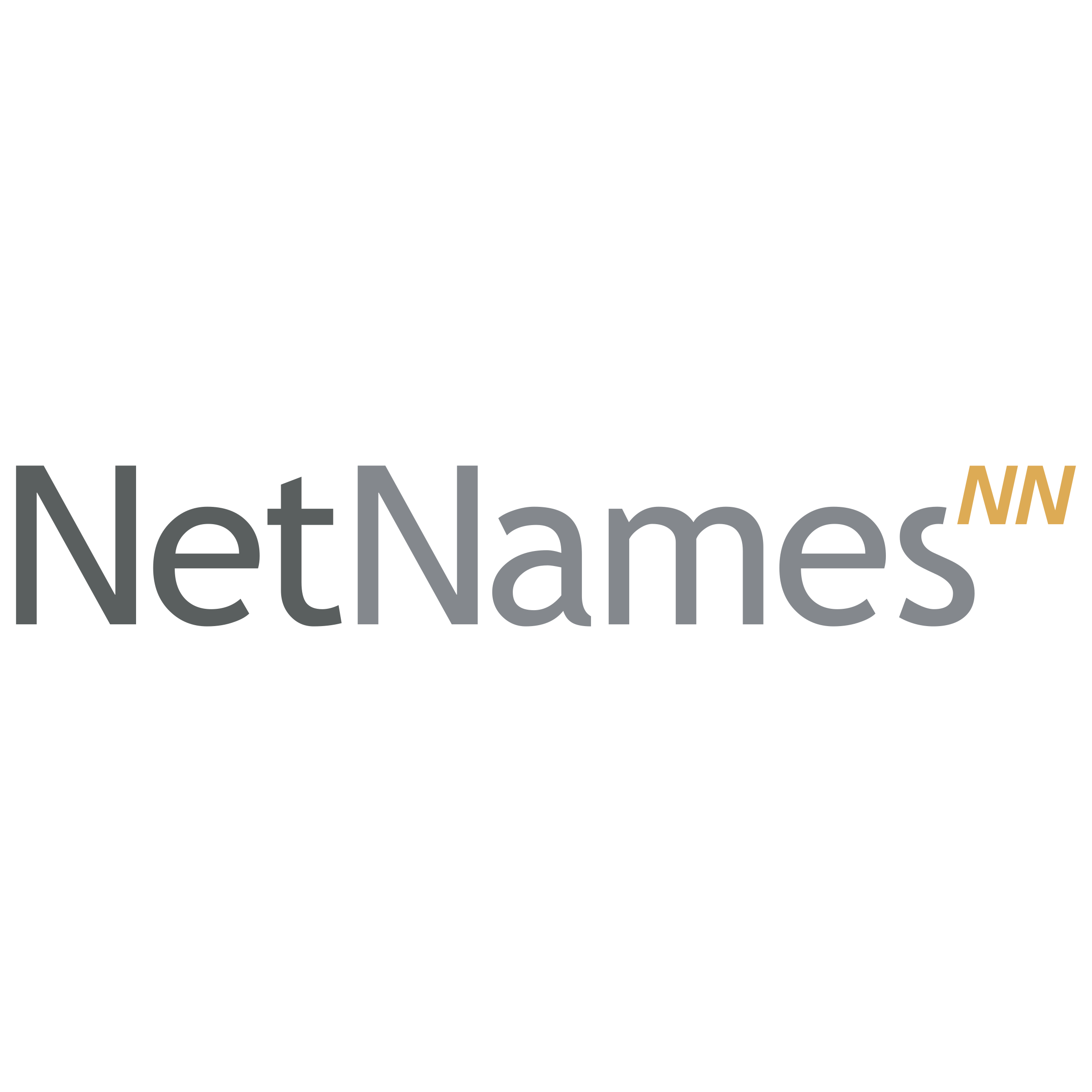 NetNames Logo PNG Transparent & SVG Vector - Freebie Supply
