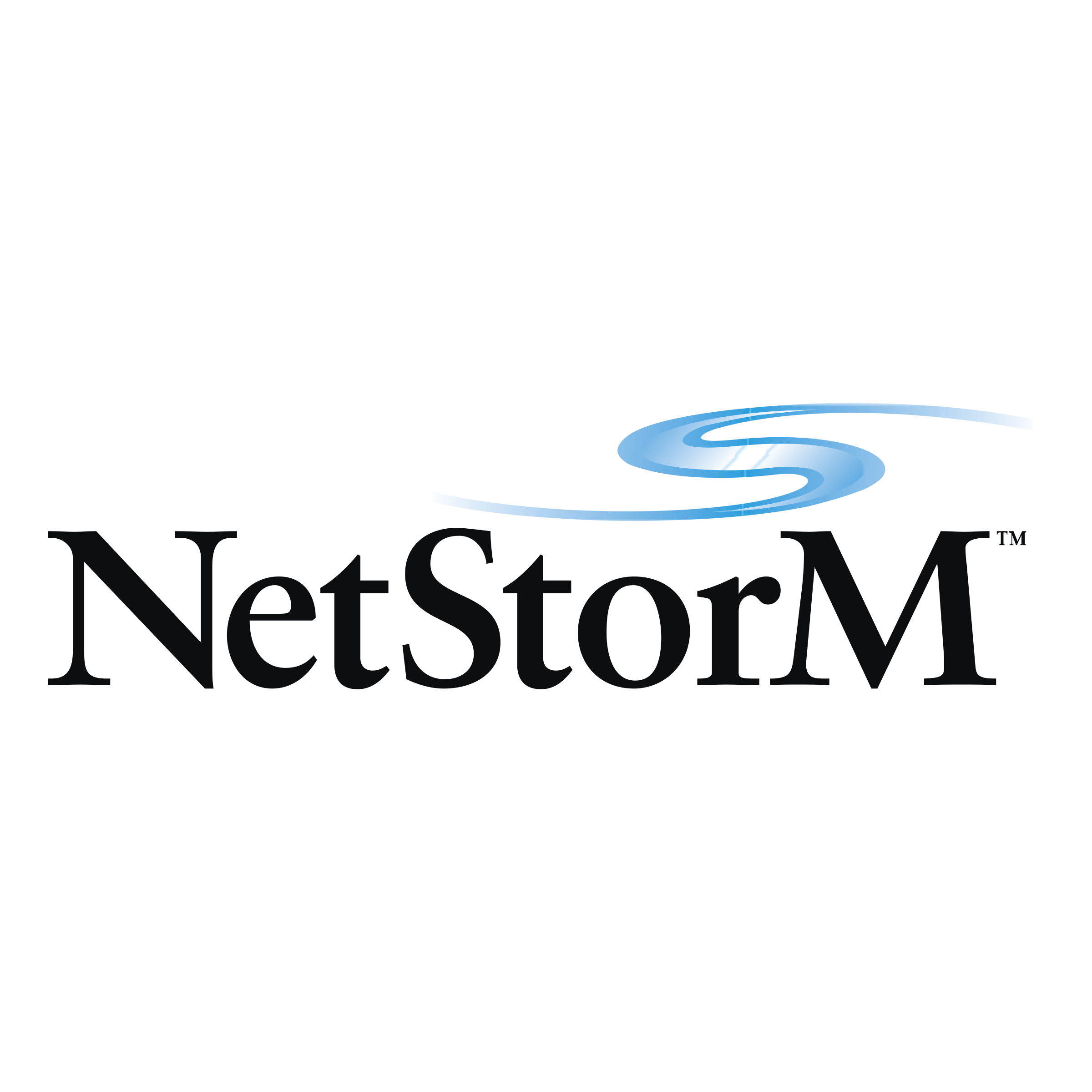 NetStorM Logo PNG Transparent & SVG Vector - Freebie Supply