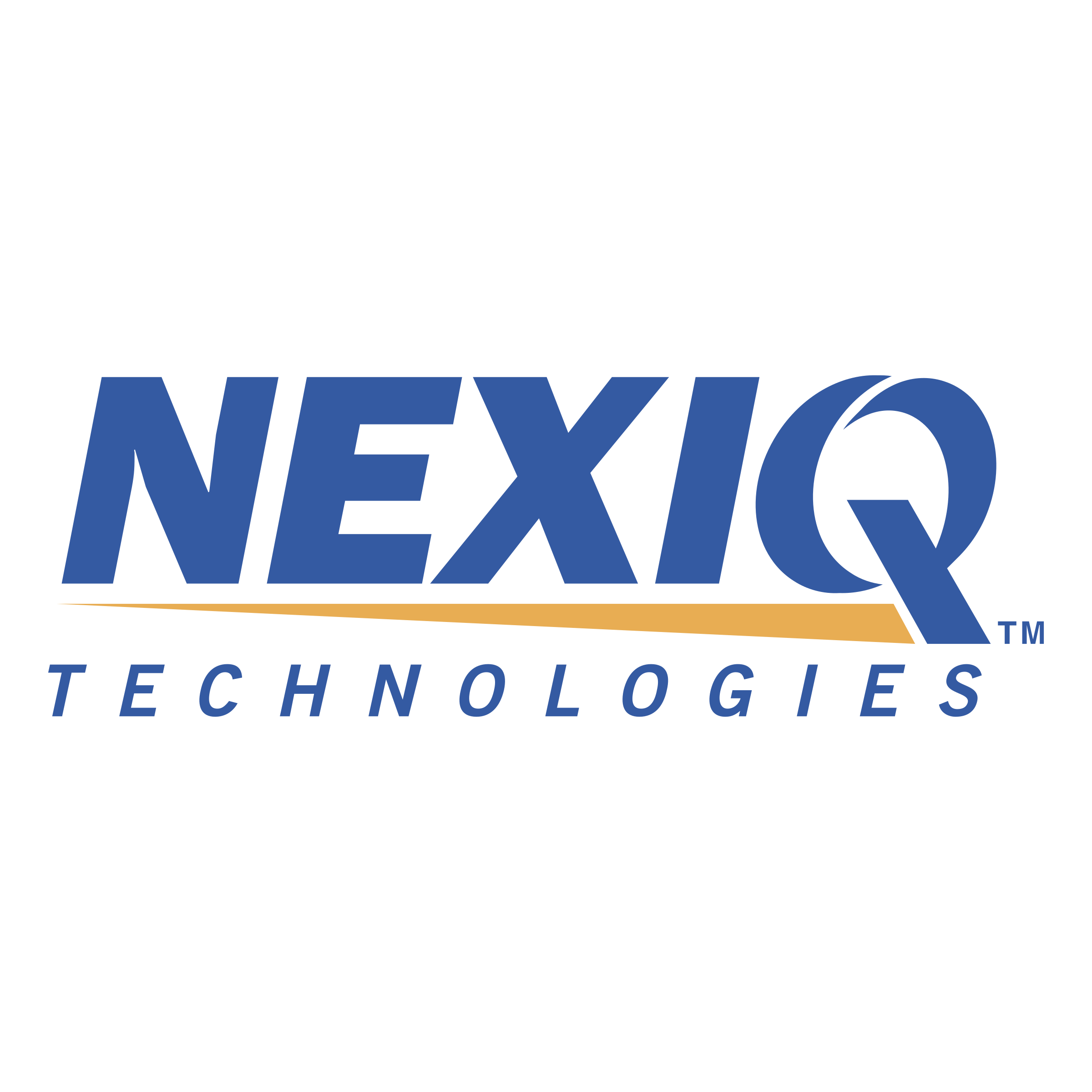 Nexiq Logo US$125.00 NEXIQ 2 USB Link + Software Diesel Truck