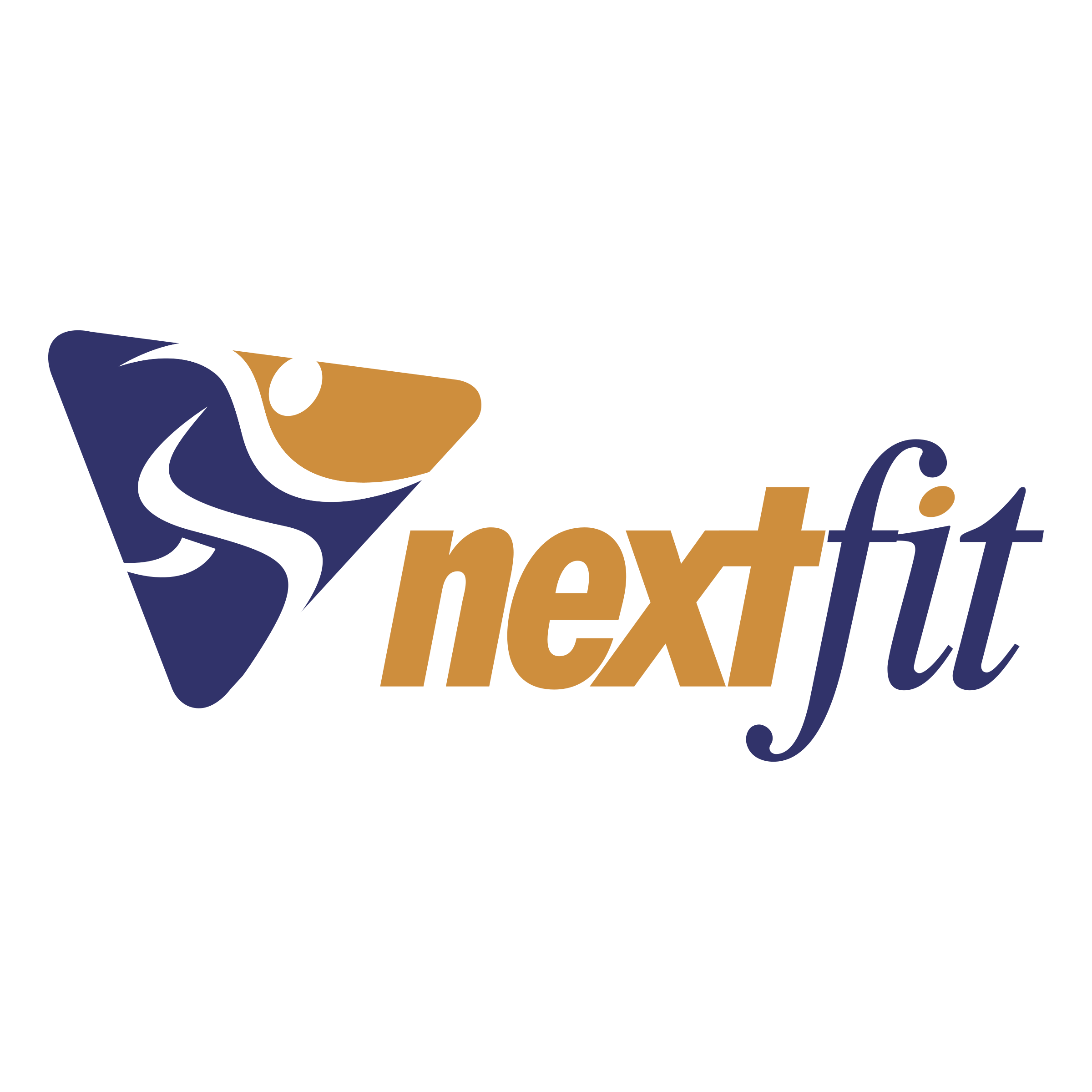 NextFit Logo PNG Transparent & SVG Vector - Freebie Supply