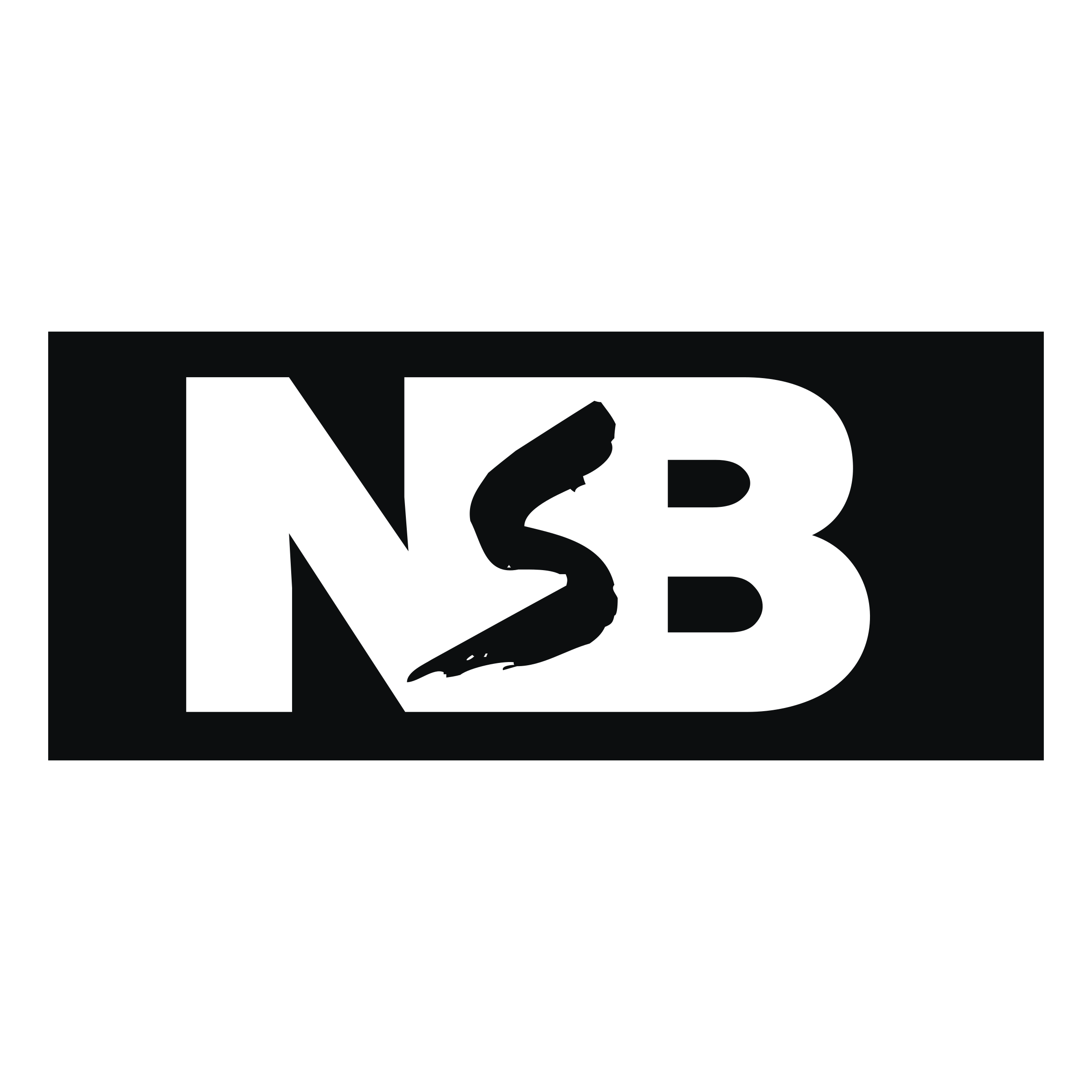 NSB Logo PNG Transparent & SVG Vector - Freebie Supply