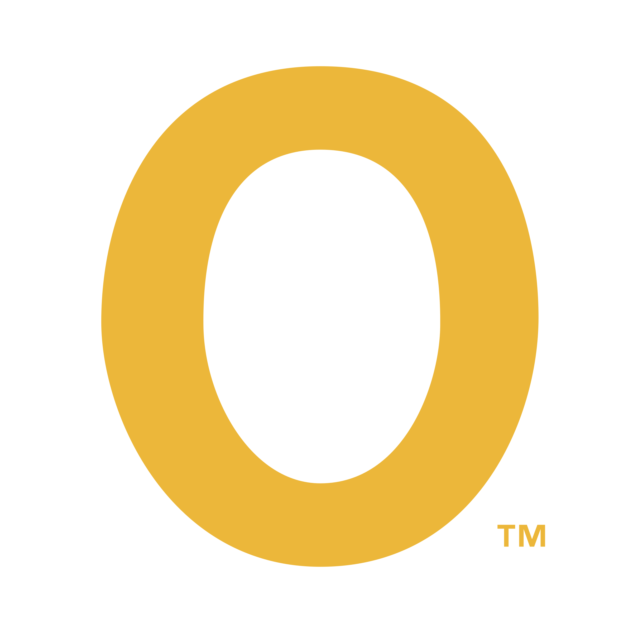 Omaha Logo Design