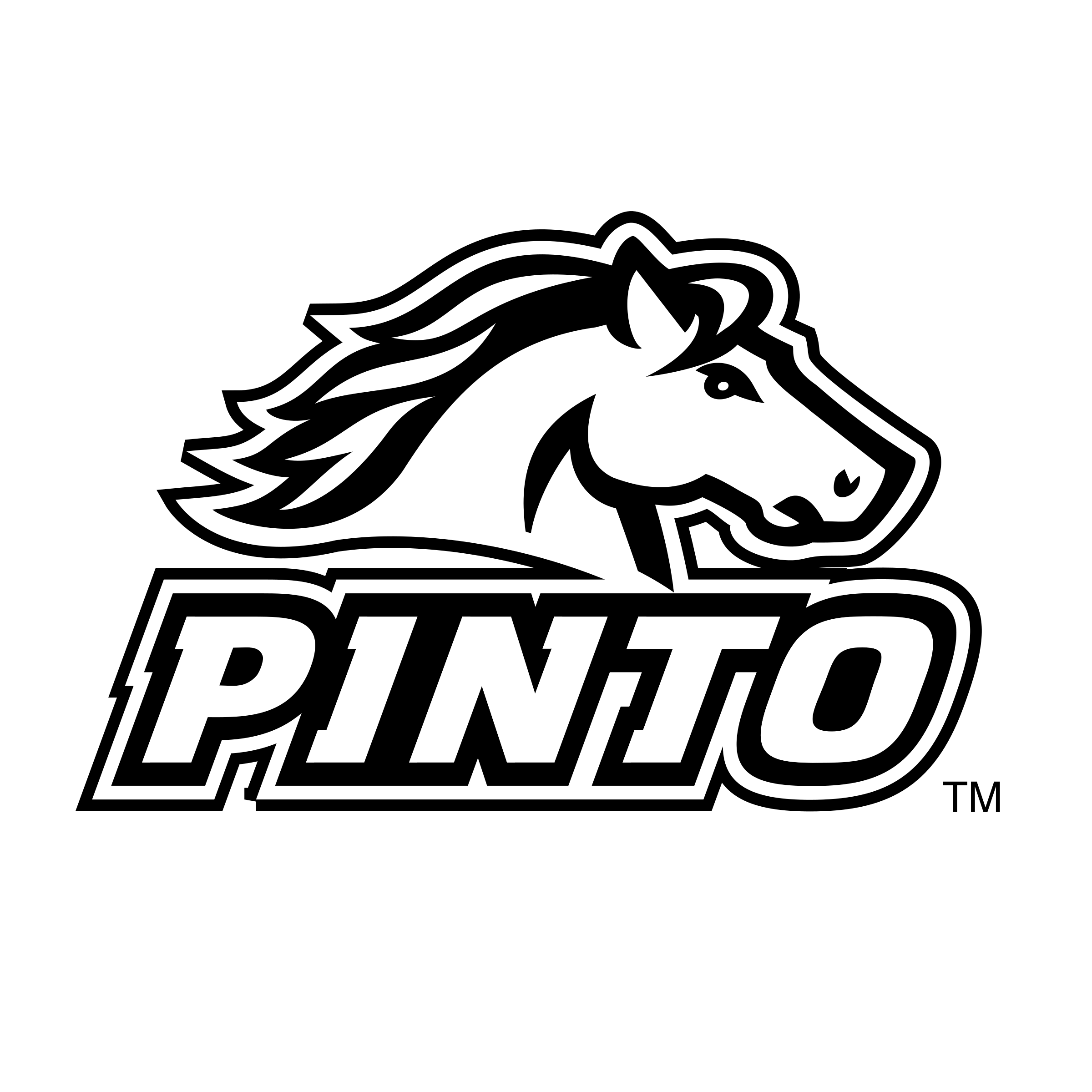 Pinto Logo PNG Transparent & SVG Vector - Freebie Supply